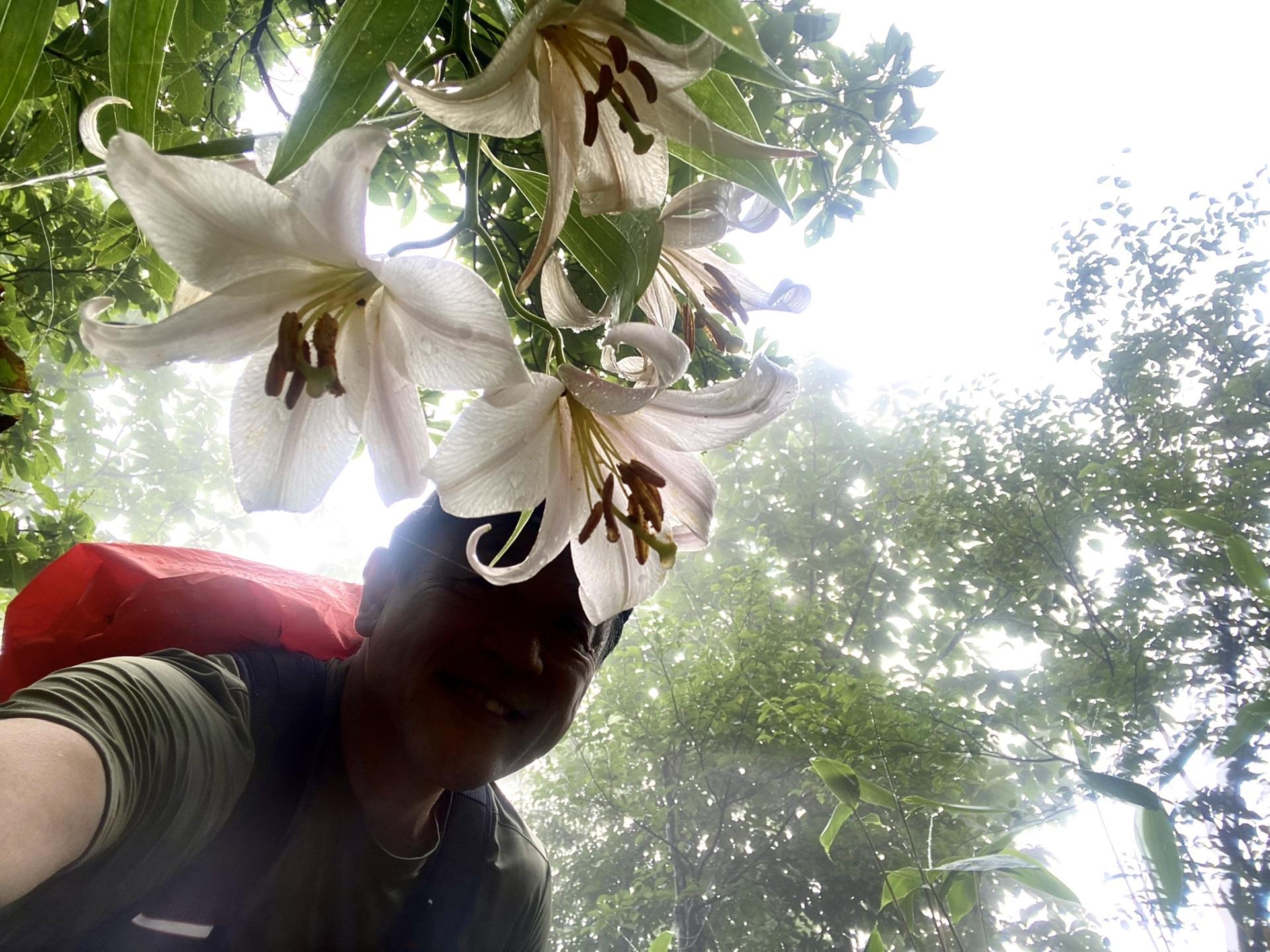 【医王山】全身に山を感じて花逍遥 / random walkerさんの医王山・白兀山・箱屋谷山の活動データ | YAMAP / ヤマップ