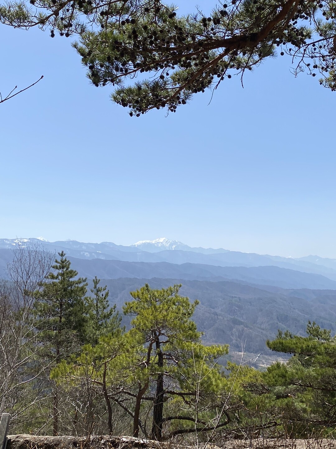 守屋山前嶽・守屋山東峰・守屋山中嶽・守屋山 / nakaji＊378さんの守屋山の活動データ | YAMAP / ヤマップ