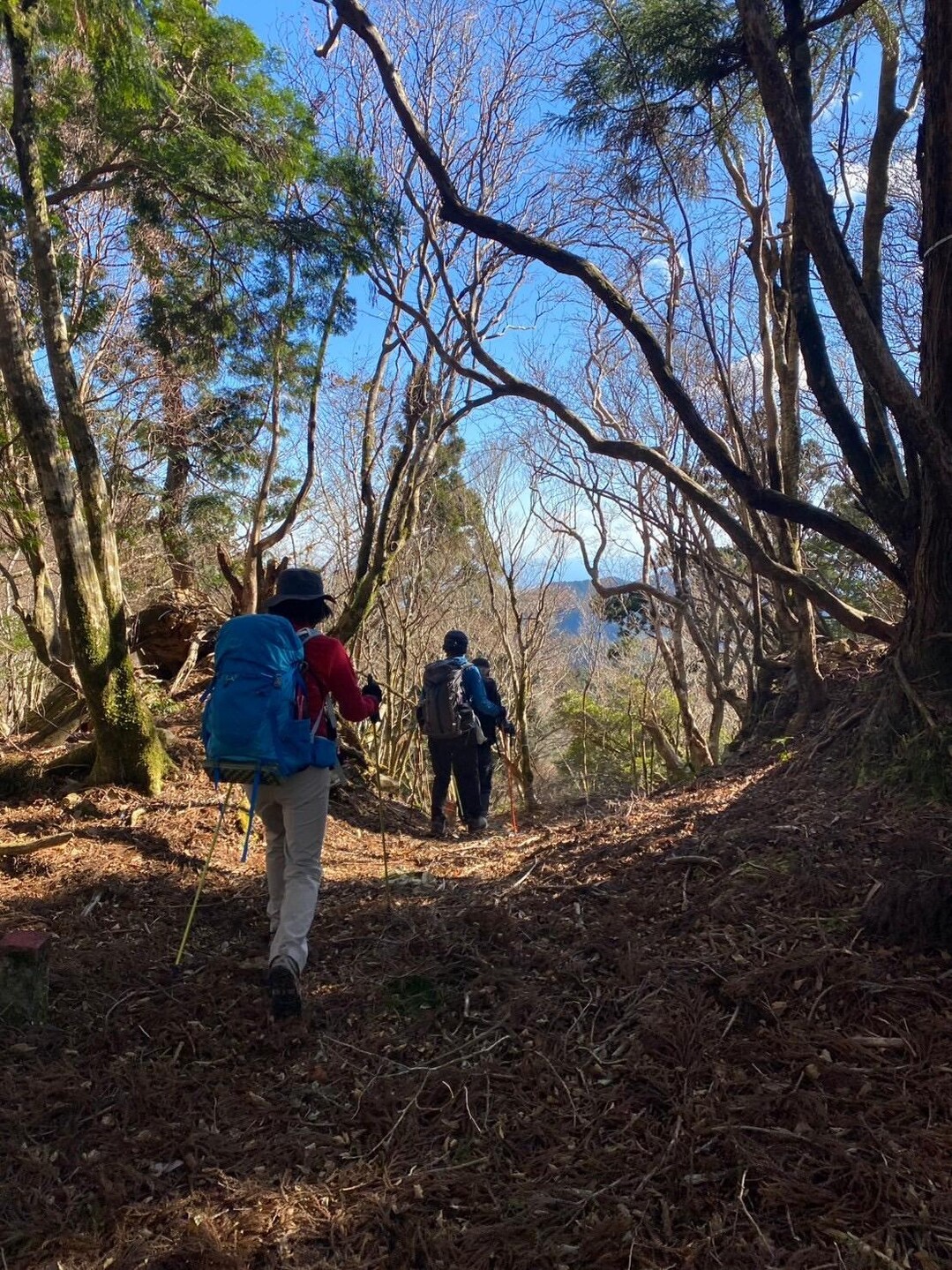 装束山・野根山：mm号様さまです😌💕 / mipiさんの野根山の活動データ | YAMAP / ヤマップ