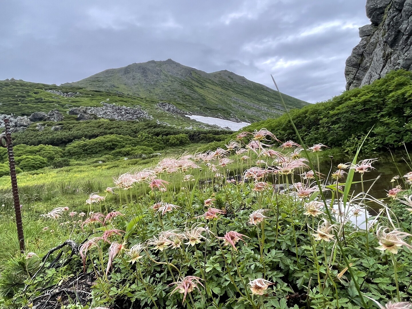 トムラウシ山 / MZYさんのGT3 2の活動データ | YAMAP / ヤマップ