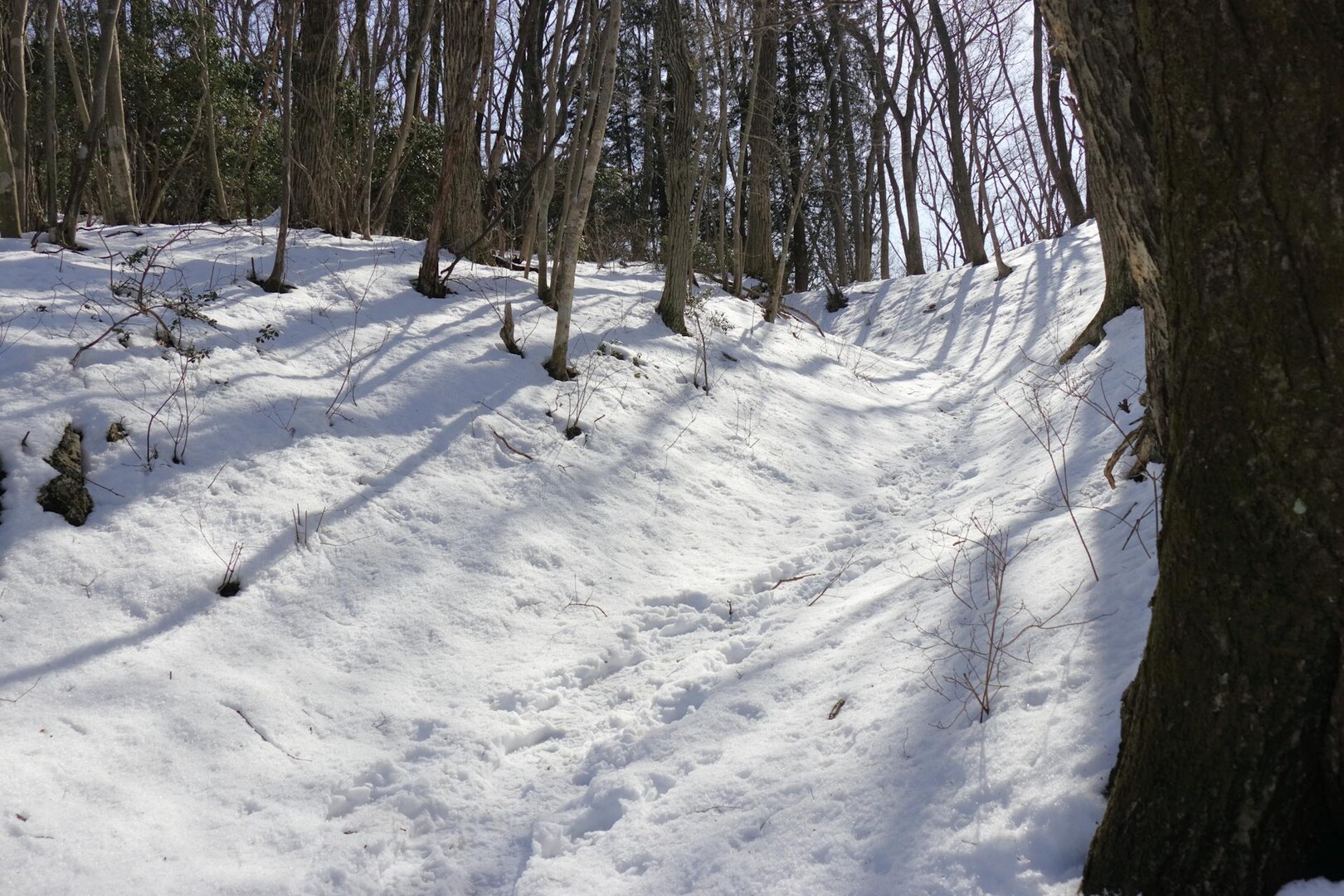 正丸駅～ツツジ山・飯盛山・関八州見晴台～西吾野駅 / bysunさんの関八州見晴台の活動データ | YAMAP / ヤマップ