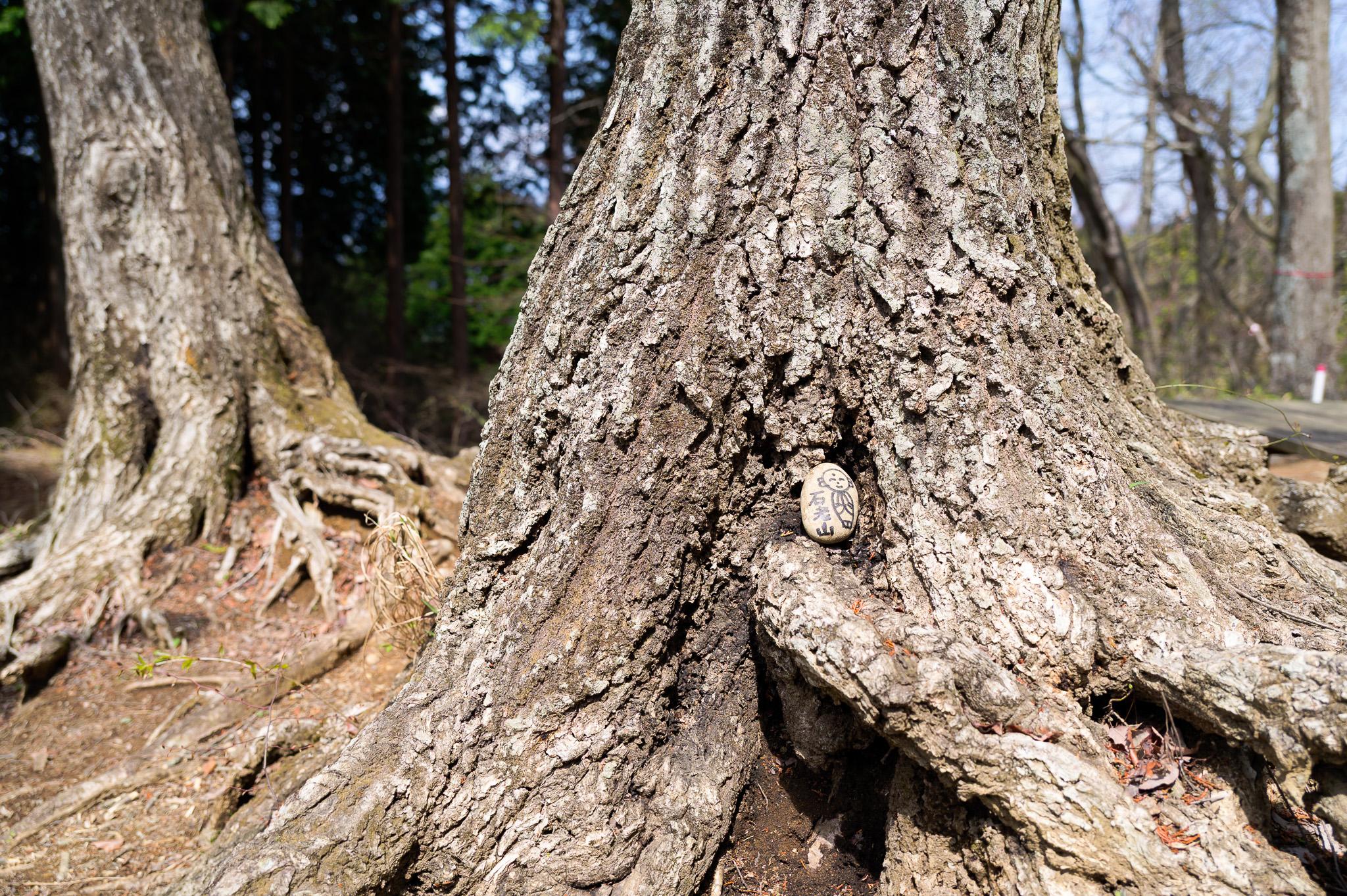 春を探しに石老山と周辺を / Jimmy Walkerさんの高尾山・陣馬山・景信山の活動日記 | YAMAP / ヤマップ