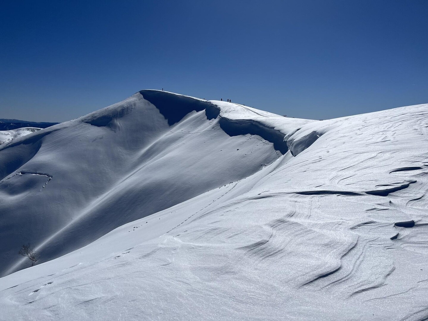 片折岳・前金剛・中金剛 / Yusukeさんの金剛堂山の活動日記 | YAMAP / ヤマップ