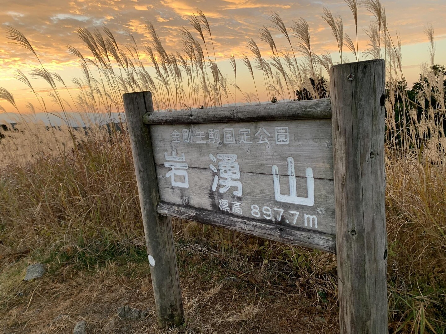 経塚山・東峰・岩湧山 / NO-KIさんの岩湧山・一徳防山・三石山の活動データ | YAMAP / ヤマップ