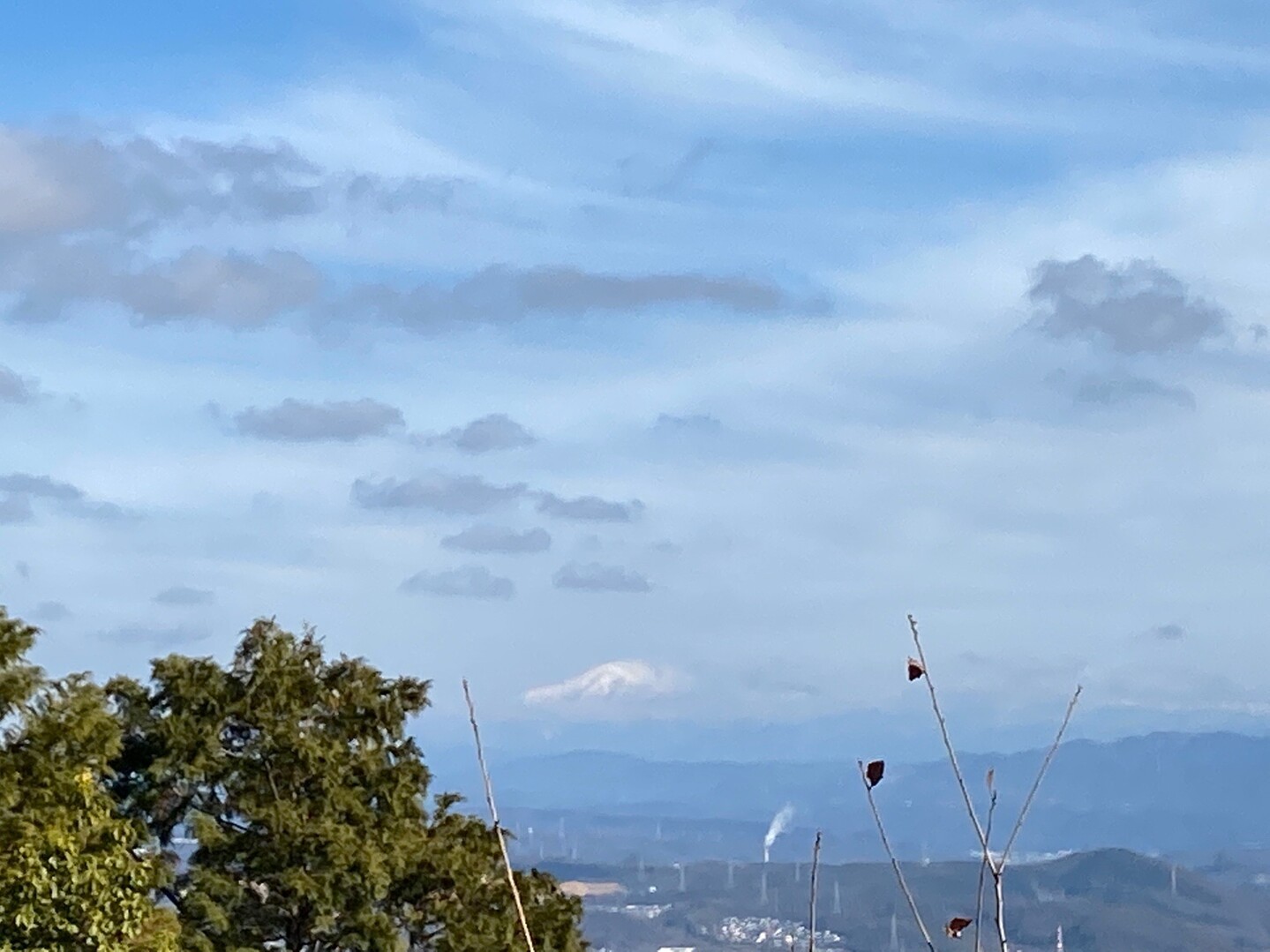 いざ 高社山(多治見) / Shoさんの八曽山の活動日記 | YAMAP / ヤマップ