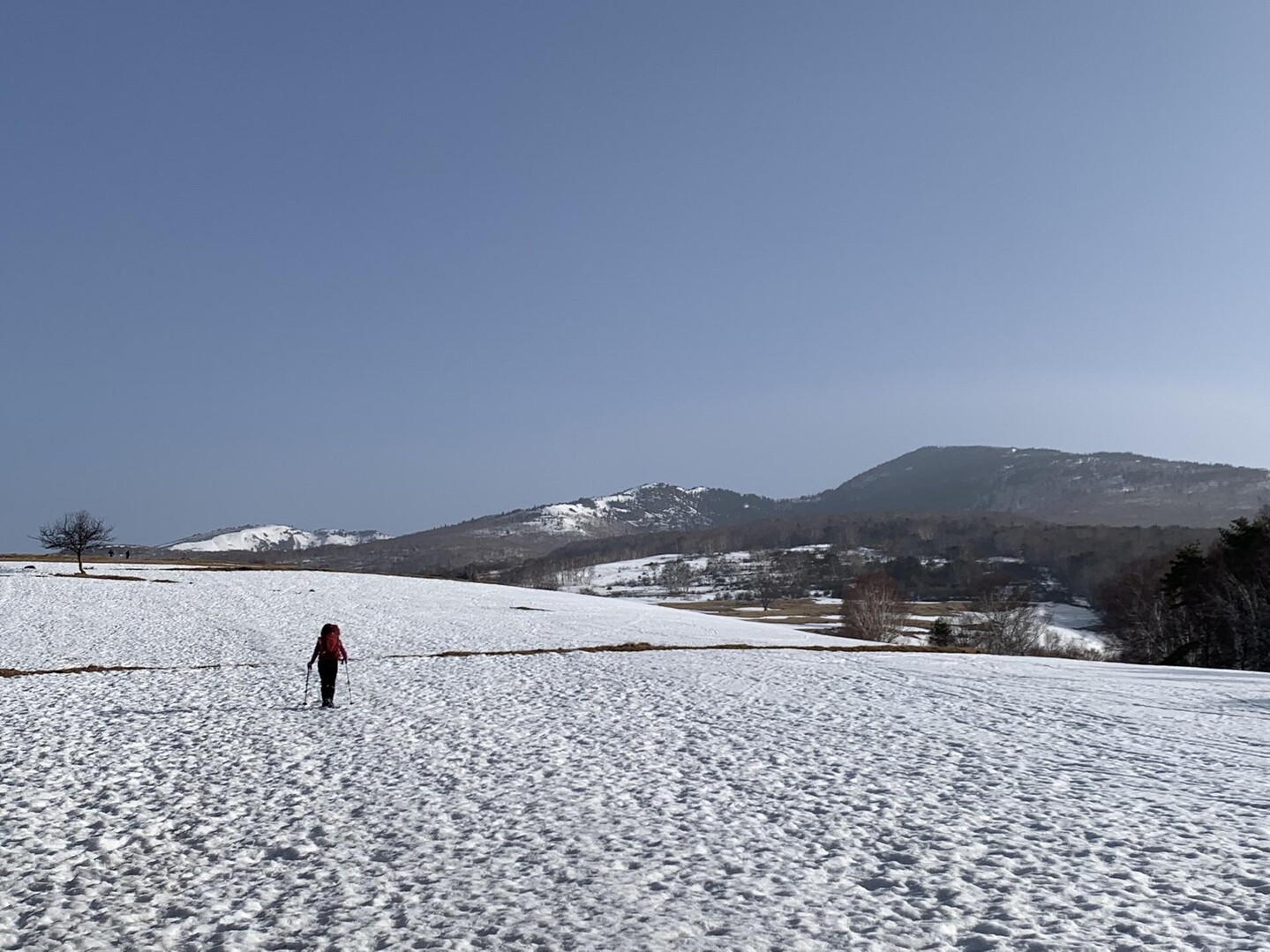 雪のある季節に間に合いました☺️…四阿山 / M_Akkyさんの四阿山・根子岳の活動データ | YAMAP / ヤマップ