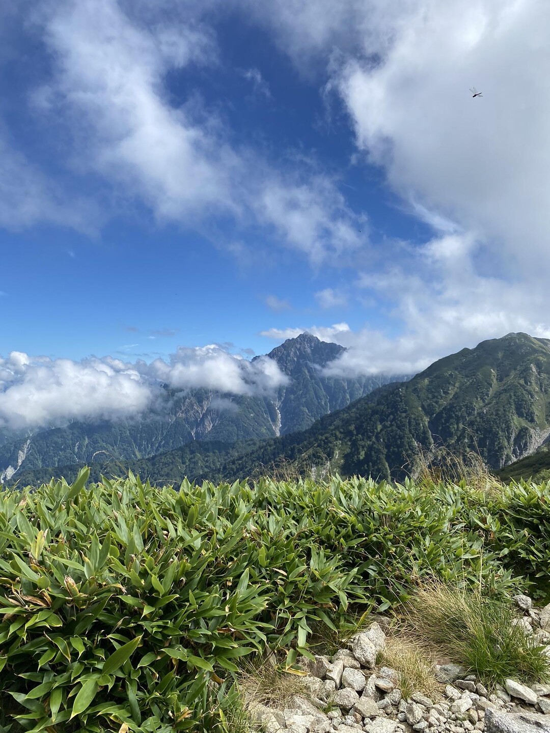 大日岳 / junyaさんの立山・雄山・浄土山の活動データ | YAMAP / ヤマップ