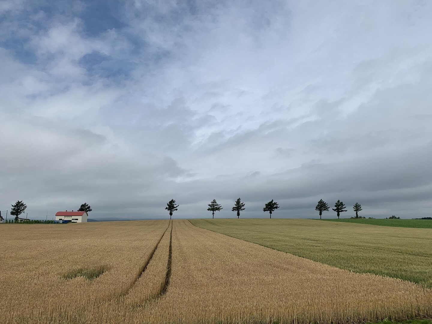 3連休は、知床へ！ 熊、鹿、キタキツネ、... / akemi ちゃんさんのモーメント | YAMAP / ヤマップ