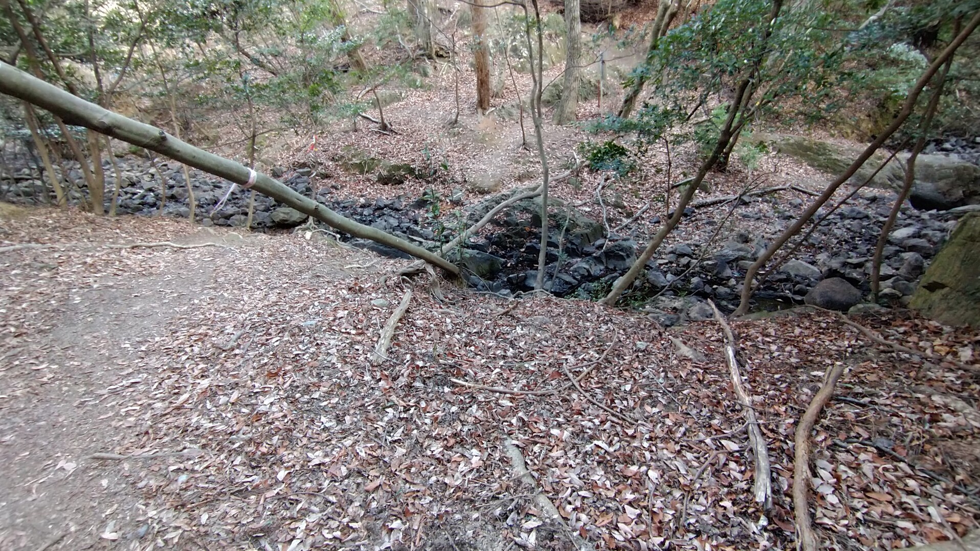 kame11さんの投稿したフィールドメモ | YAMAP / ヤマップ