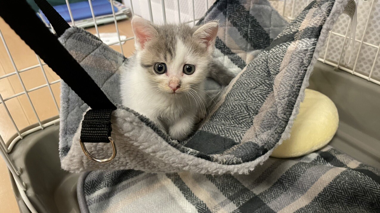 pickji28のページ | YAMAP / ヤマップ