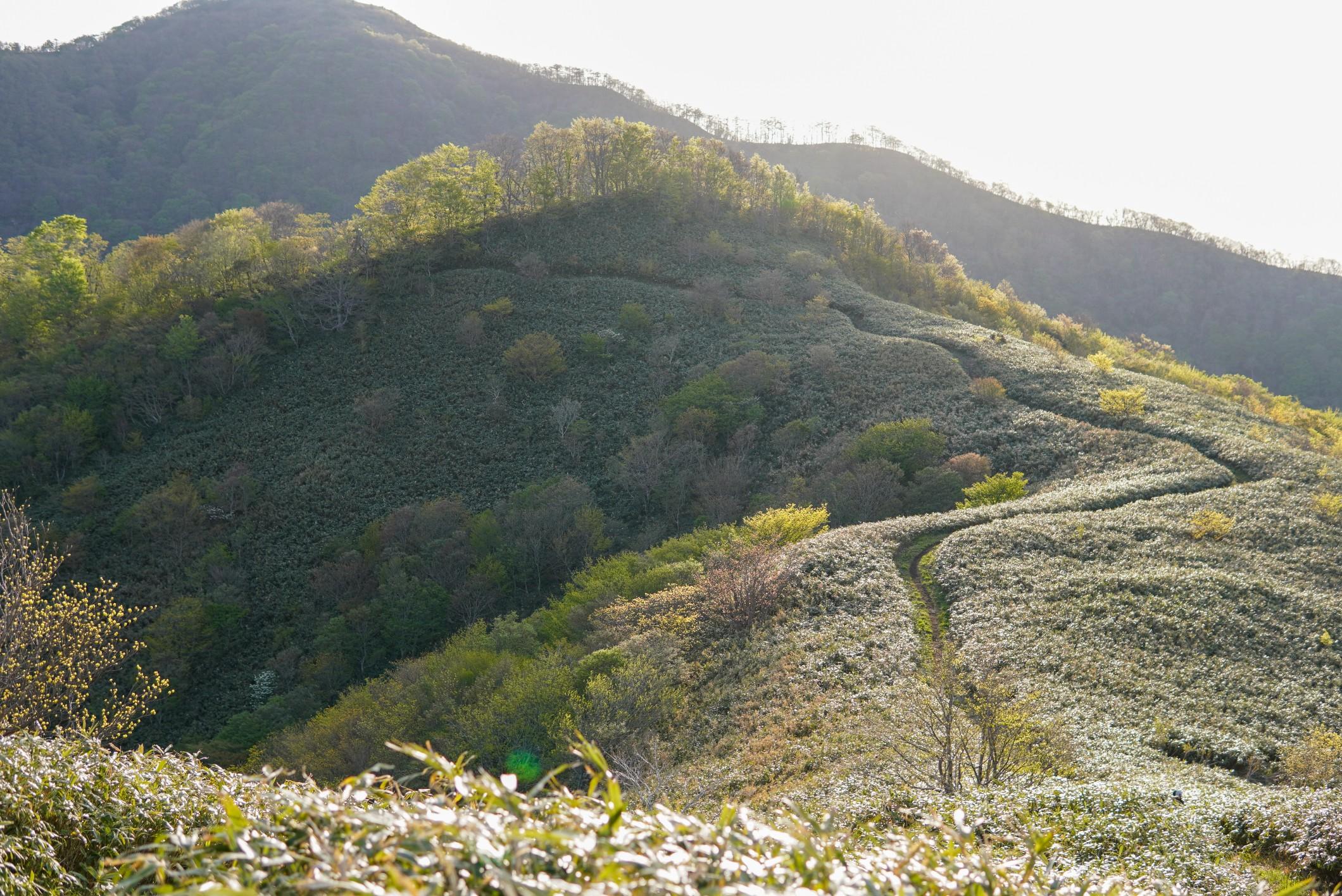 ぐるっと1周 蒜山三山！ / aaaki(öᴗ