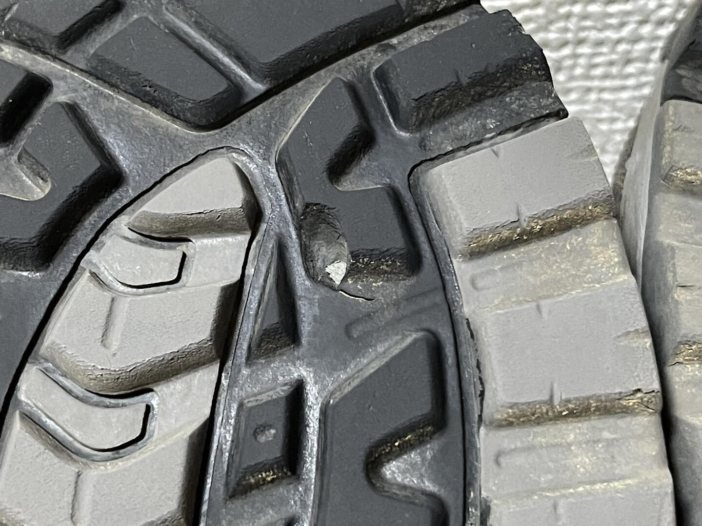 キャラバン（Caravan）トレッキング... / U・x・U ポチ@ひよっこトレイルウォーカーさんのモーメント | YAMAP / ヤマップ