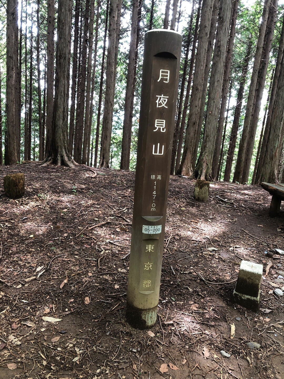 月夜見山 / Harukiさんの大岳山・御岳山・御前山の活動データ | YAMAP / ヤマップ
