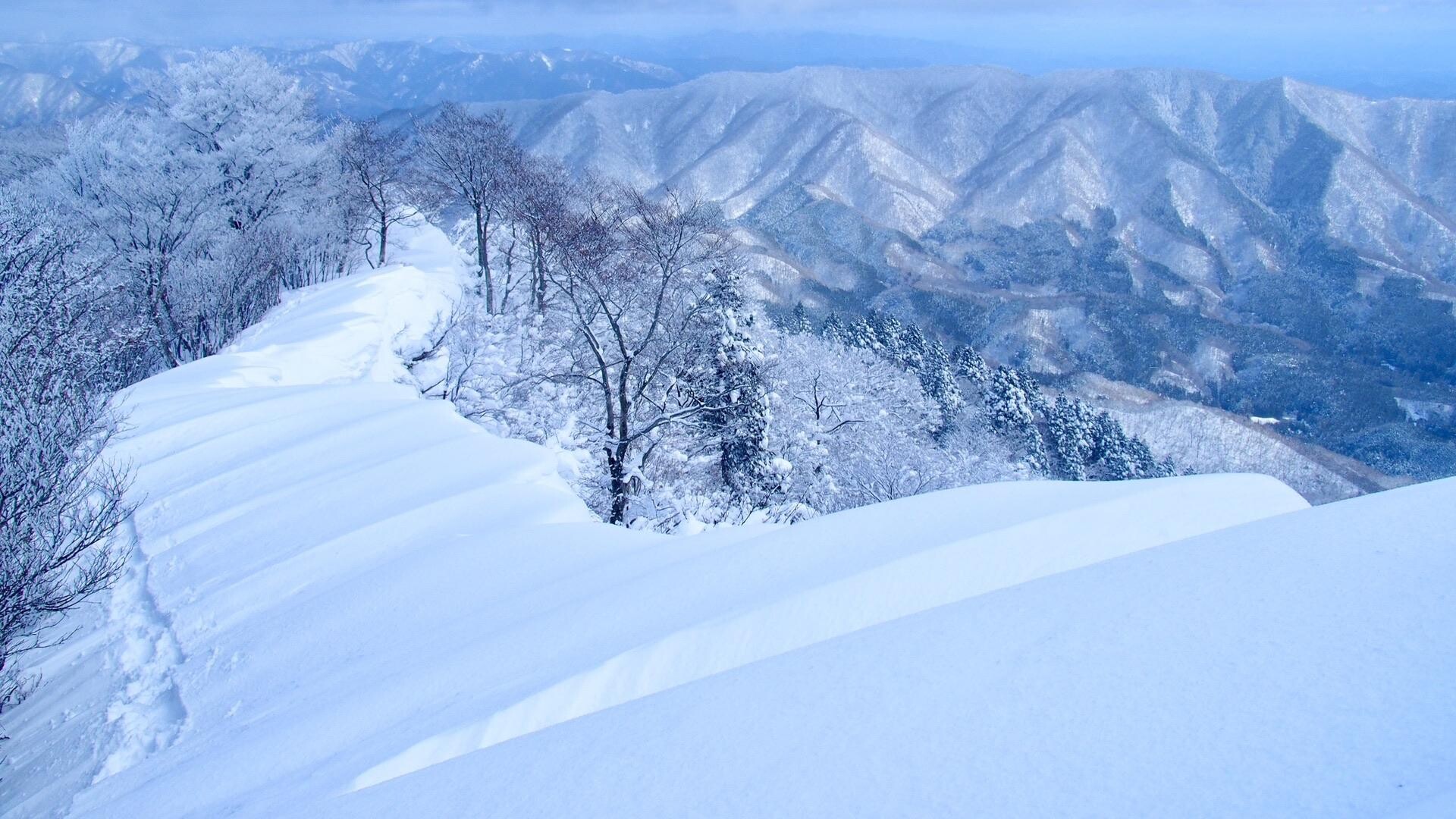 小貝月山 / shouichiさんの貝月山の活動データ | YAMAP / ヤマップ
