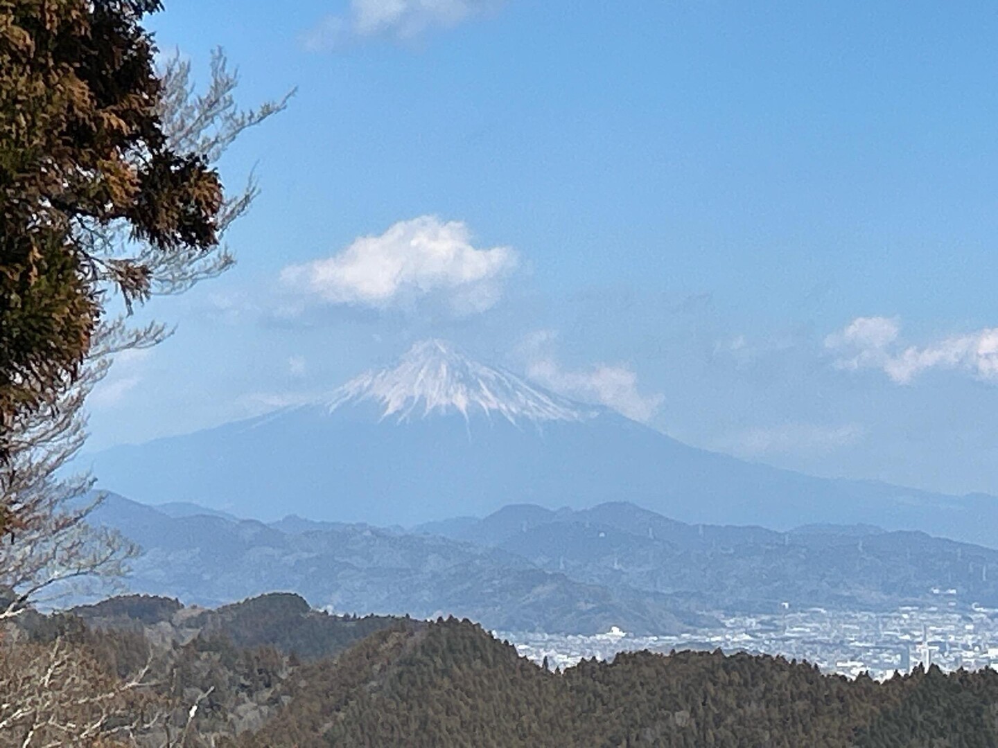 花沢山・満観峰・大ベラ山・高草山(東峰)・高草山（西峰） / SHOさんの焼津アルプス（高草山・満観峰・花沢山）・徳願寺山の活動日記 | YAMAP / ヤマップ
