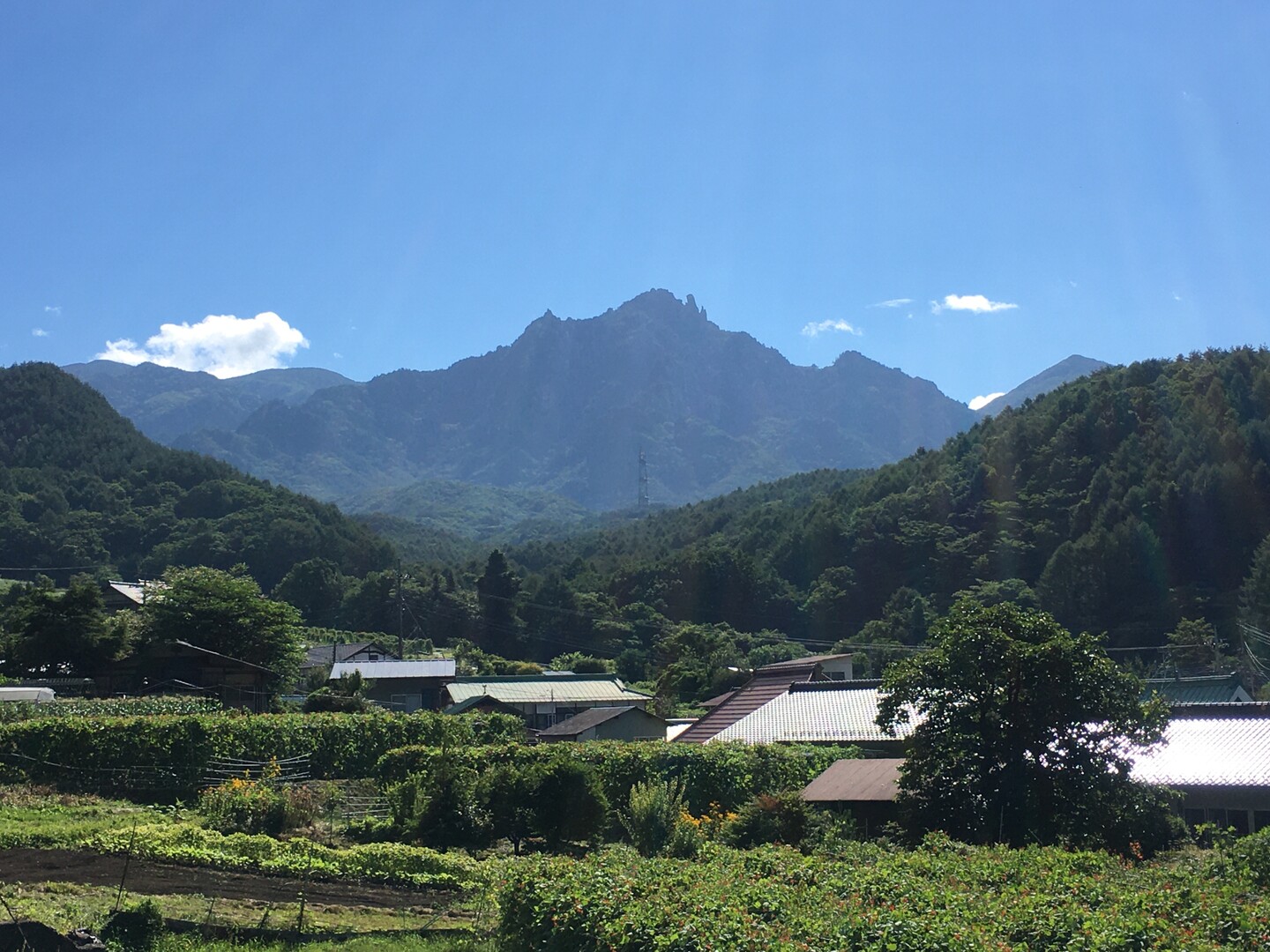 瑞牆山 / Patさんのヤマノススメ巡礼マップ（瑞牆山・金峰山）の活動データ | YAMAP / ヤマップ