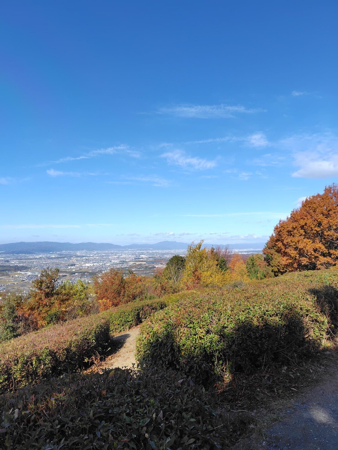 1000座達成しました ️ / maruさんの三上山・大焼山の活動データ | YAMAP / ヤマップ