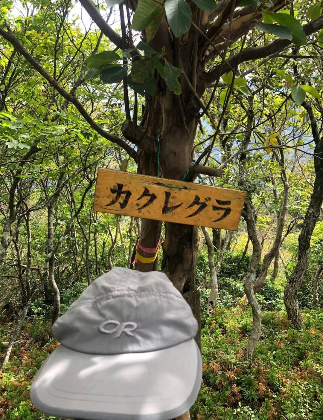 R5 10月8日 カクレグラ[鈴鹿] ... / オオイシさんのモーメント | YAMAP / ヤマップ