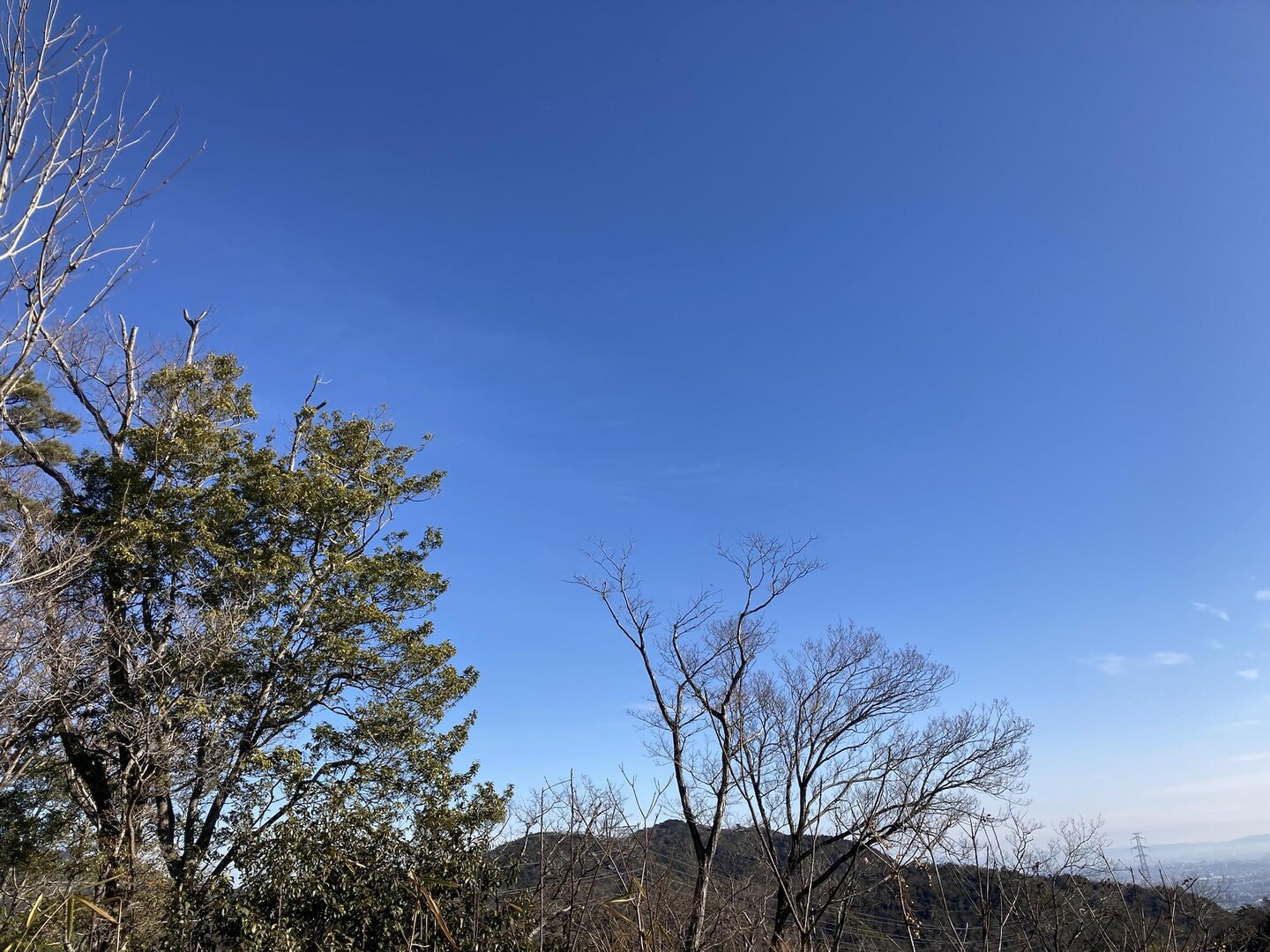 七兵衛山・打越山・十文字山 / Samさんの六甲山・長峰山・摩耶山の活動データ | YAMAP / ヤマップ
