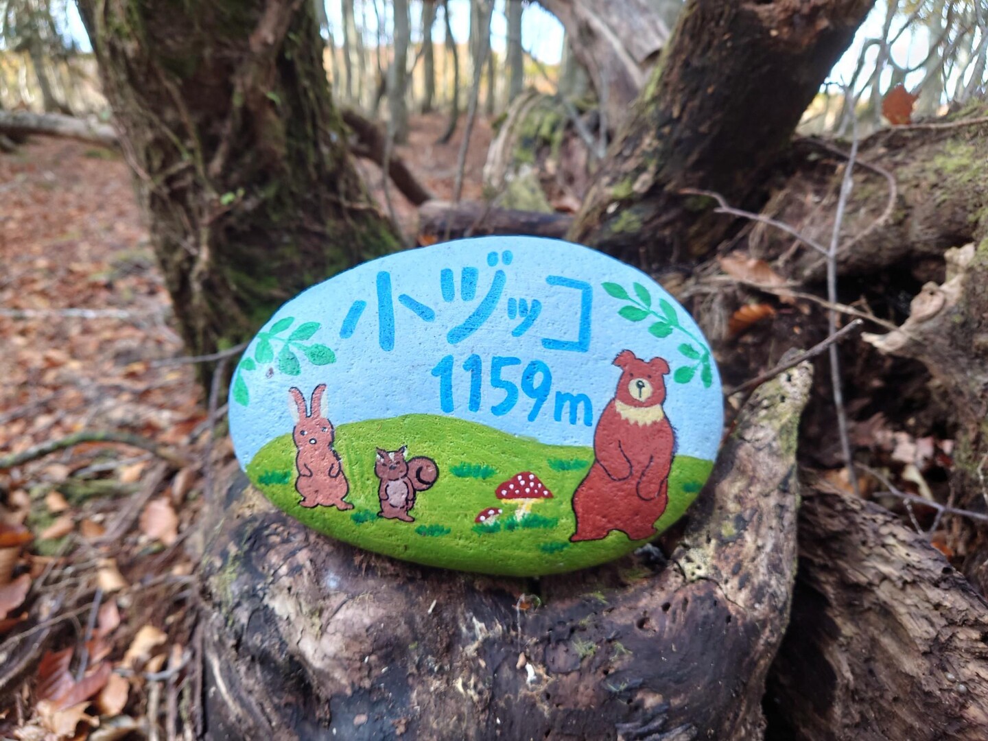 小ヅッコ・大ヅッコ・扇ノ山 / saiさんの扇ノ山の活動データ | YAMAP / ヤマップ