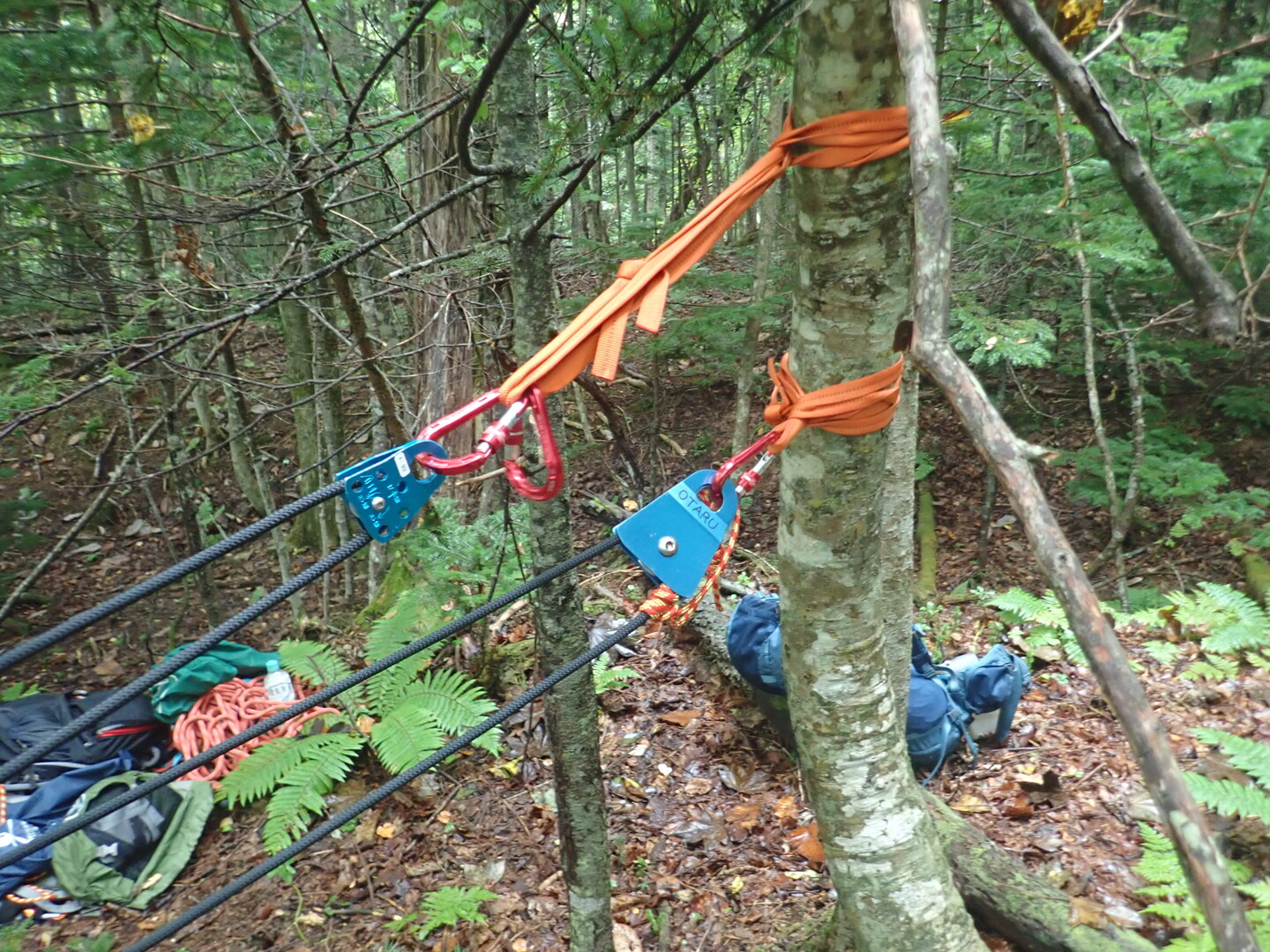 R4 6市合同山岳遭難救助訓練 -2022-09-18 / Syoさんの札幌市の活動データ | YAMAP / ヤマップ