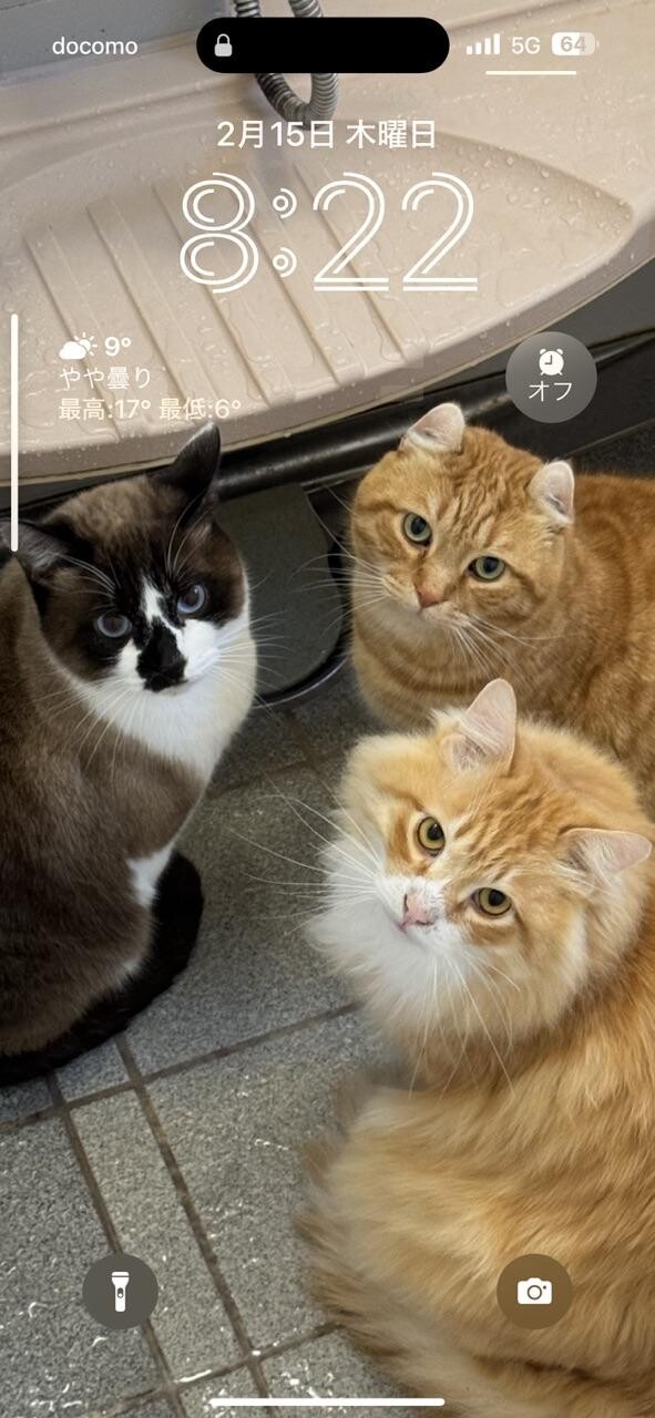 Khanのページ | YAMAP / ヤマップ