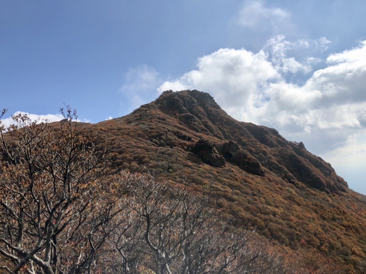 大船山 / u.mountさんの九重山（久住山）・大船山・星生山の活動データ | YAMAP / ヤマップ
