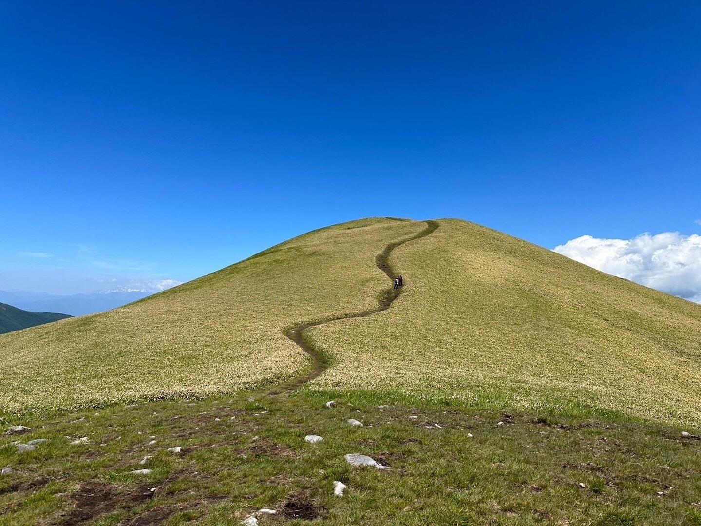 和田山南峰・和田山北峰・三峰山 / kuraさんの美ヶ原の活動データ | YAMAP / ヤマップ