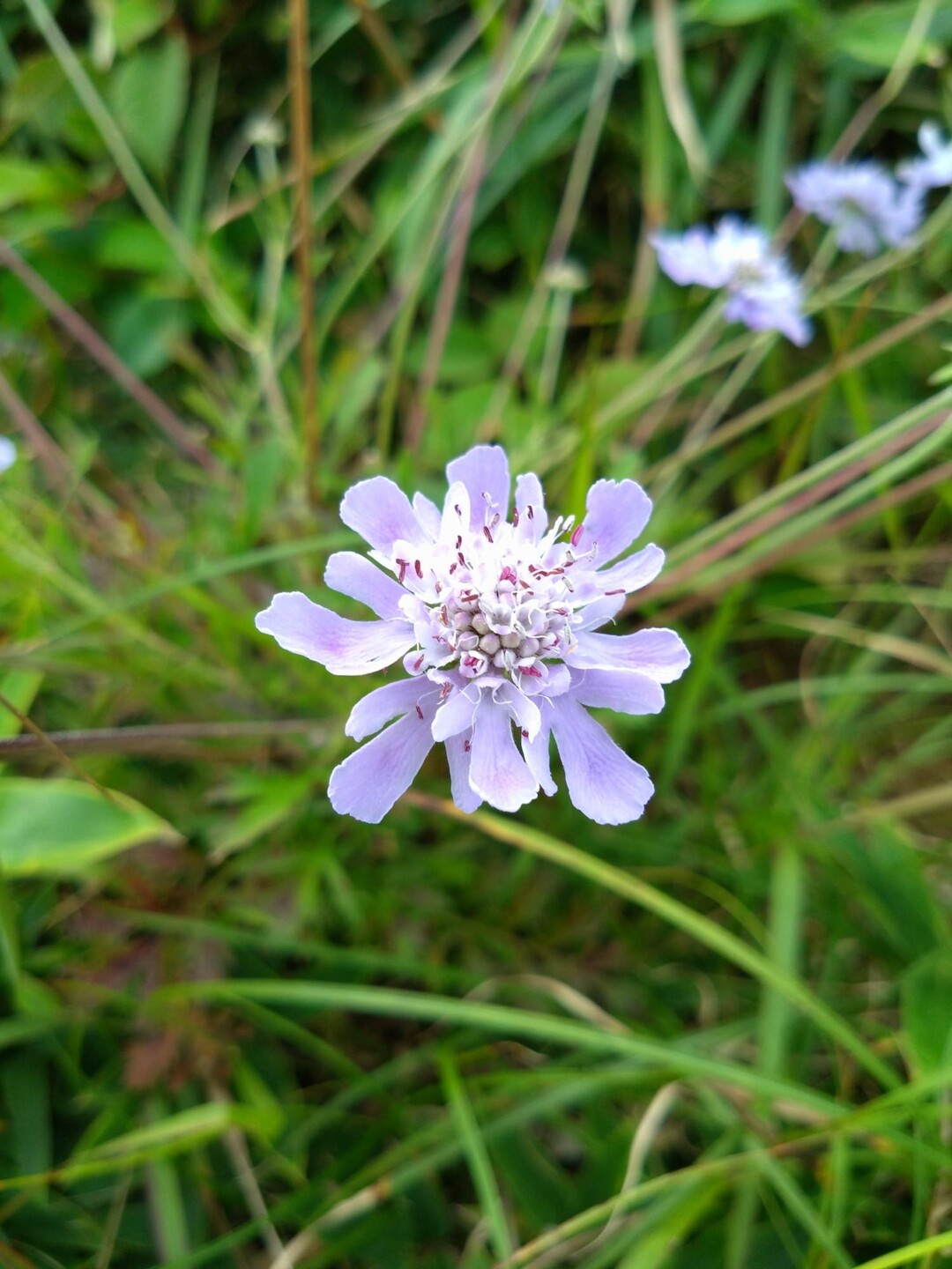 東ノ峰・天山 / NAOKINGさんの天山の活動データ | YAMAP / ヤマップ