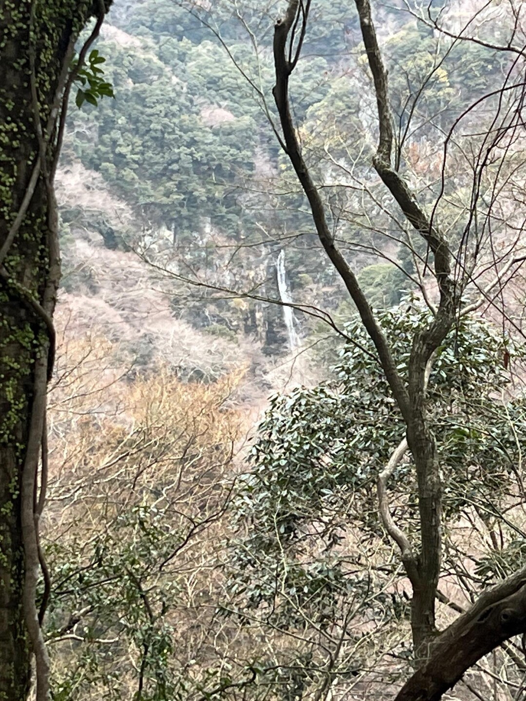 takahiroさんの投稿したフィールドメモ | YAMAP / ヤマップ