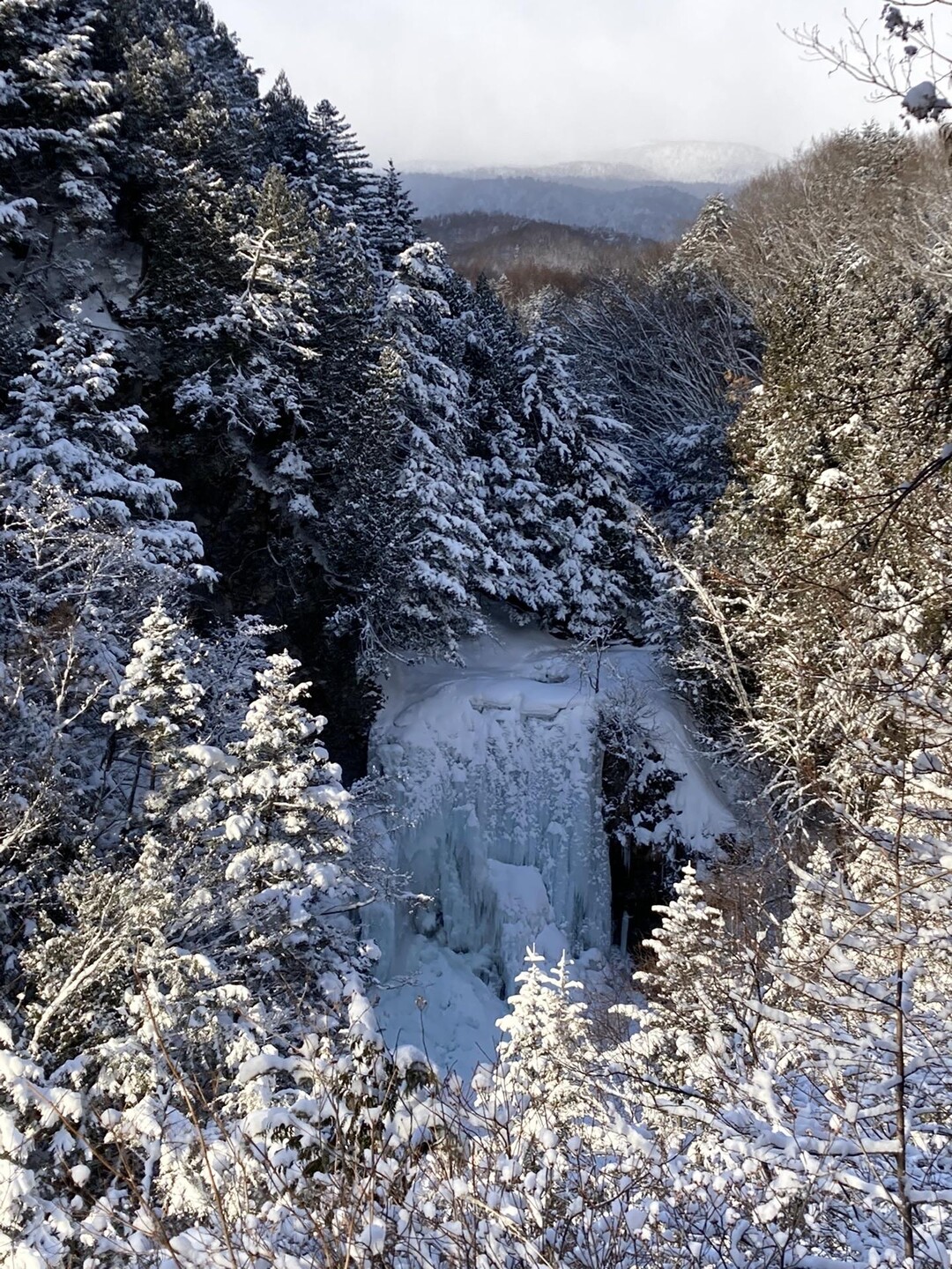 今日のMt.乗鞍スノーリゾート。 昨日の... / mc40さんのモーメント | YAMAP / ヤマップ