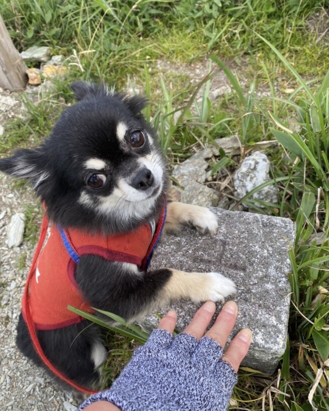 yukiのページ | YAMAP / ヤマップ