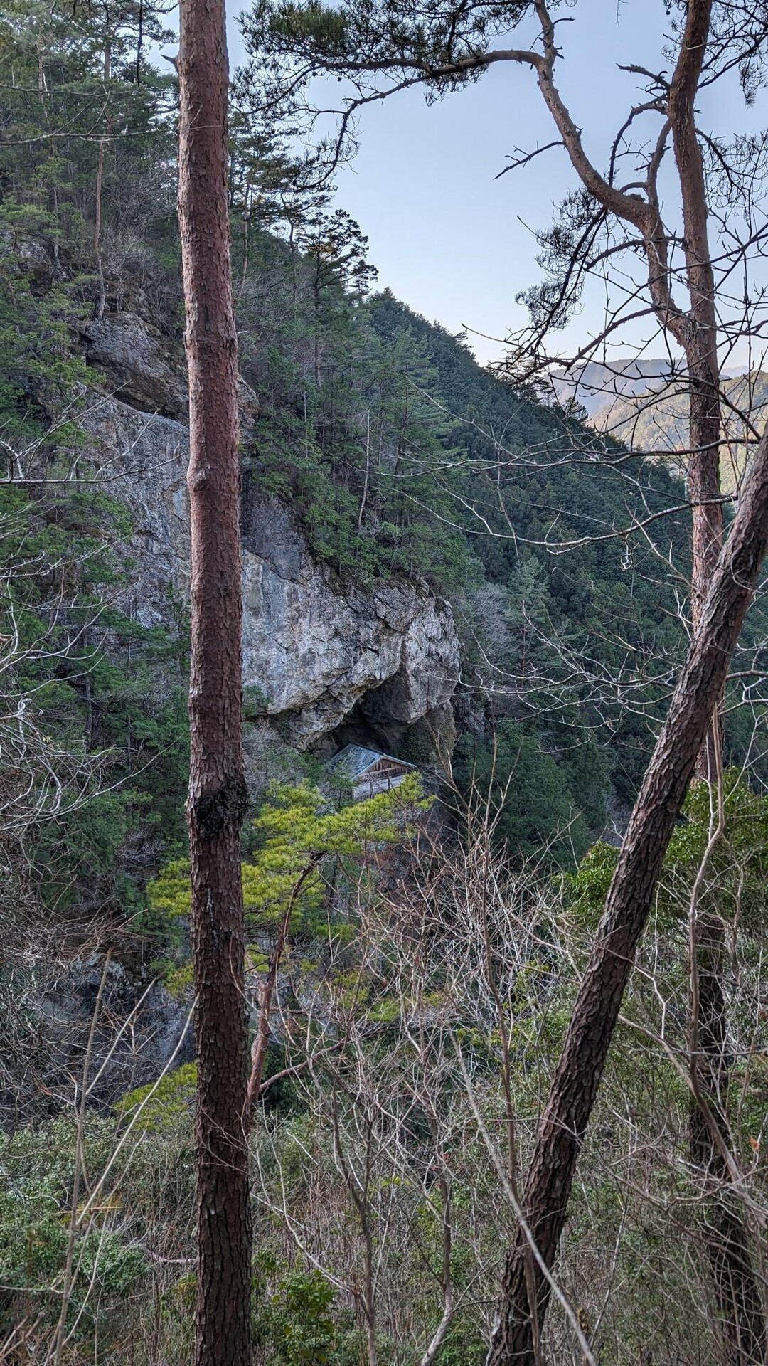 12/29(金) 横倉山下山後に同じ越知... / hamakenさんのモーメント | YAMAP / ヤマップ