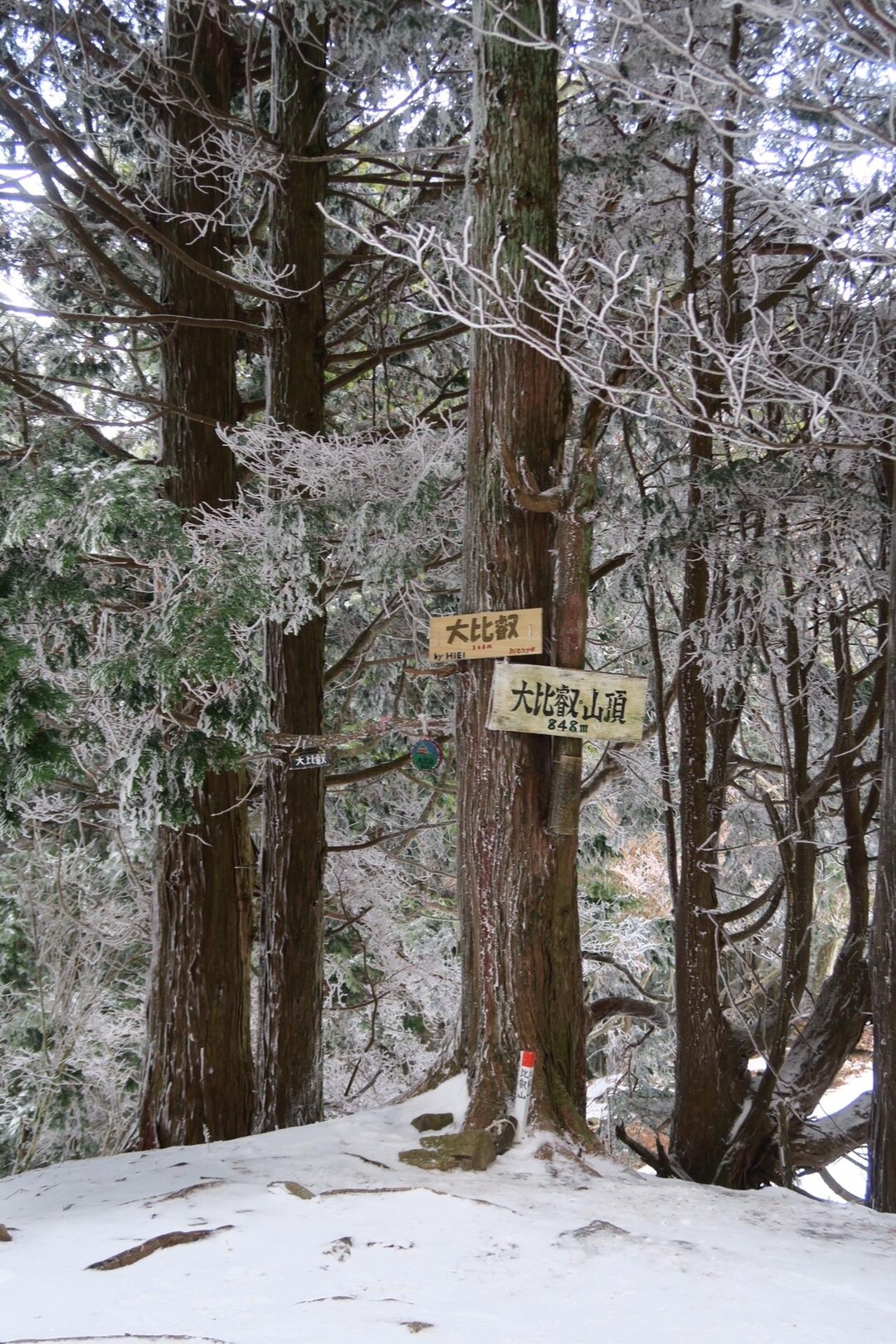 比叡山ぐるり / mh_trskさんの比叡山・横高山・梶山の活動データ | YAMAP / ヤマップ