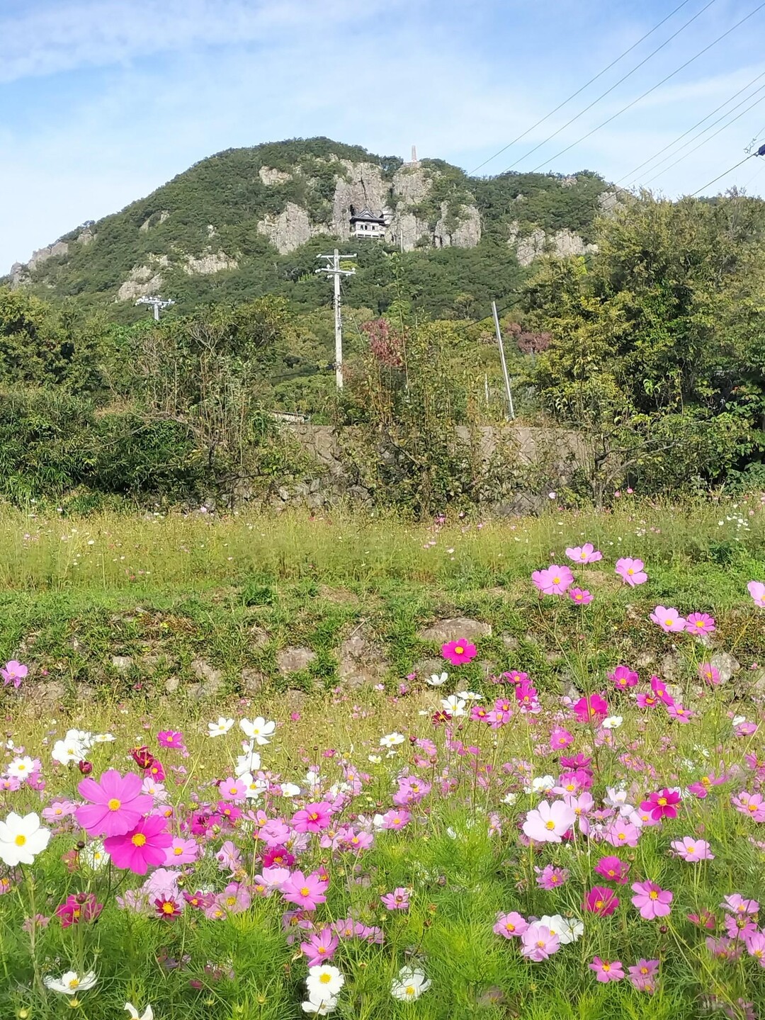 皇踏山 / Temu北新地さんの小豆島・星ヶ城山・皇踏山の活動データ | YAMAP / ヤマップ