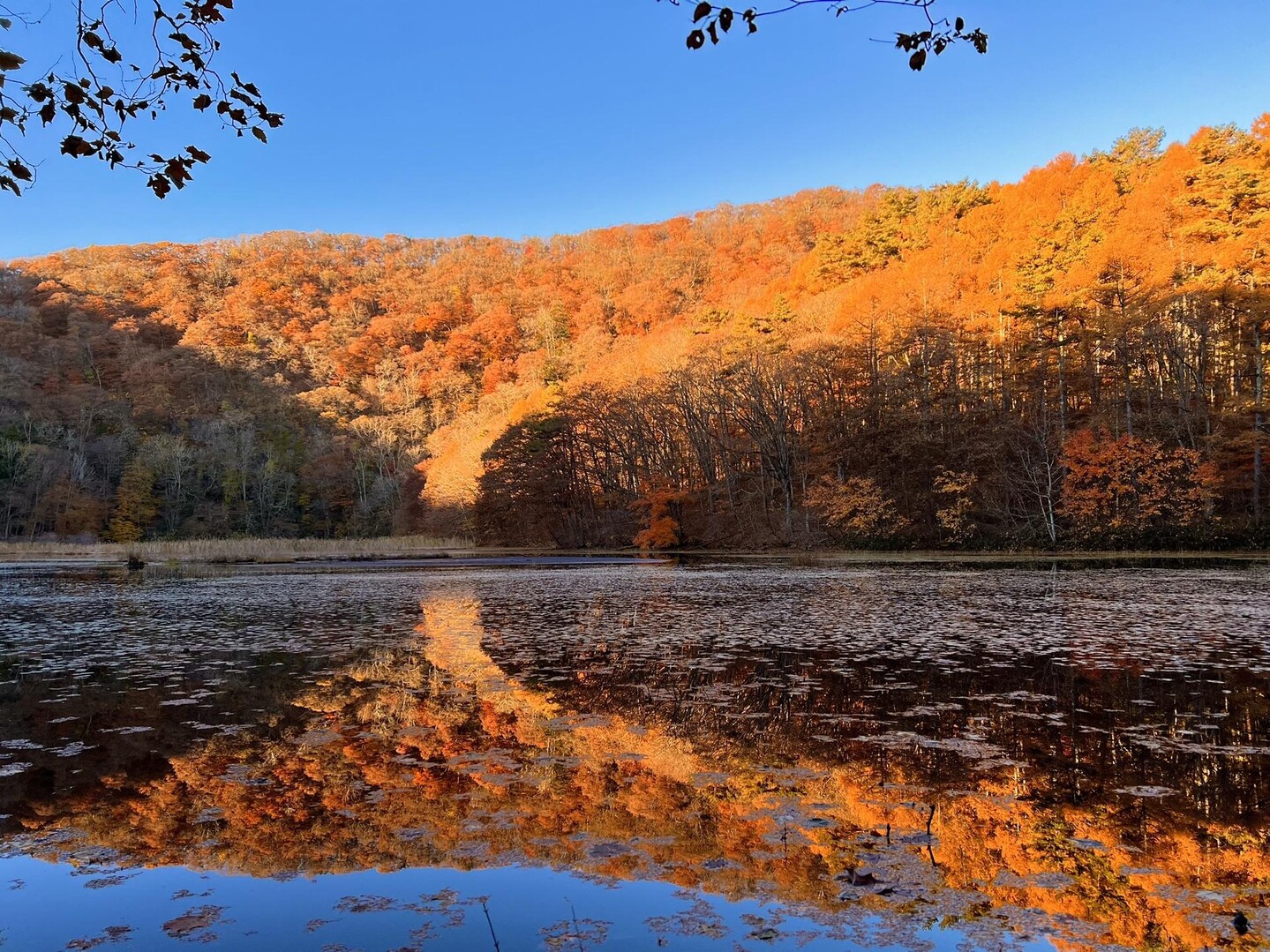大峰山・吾妻耶山 / NBさんの吾妻耶山・大峰山の活動データ | YAMAP / ヤマップ