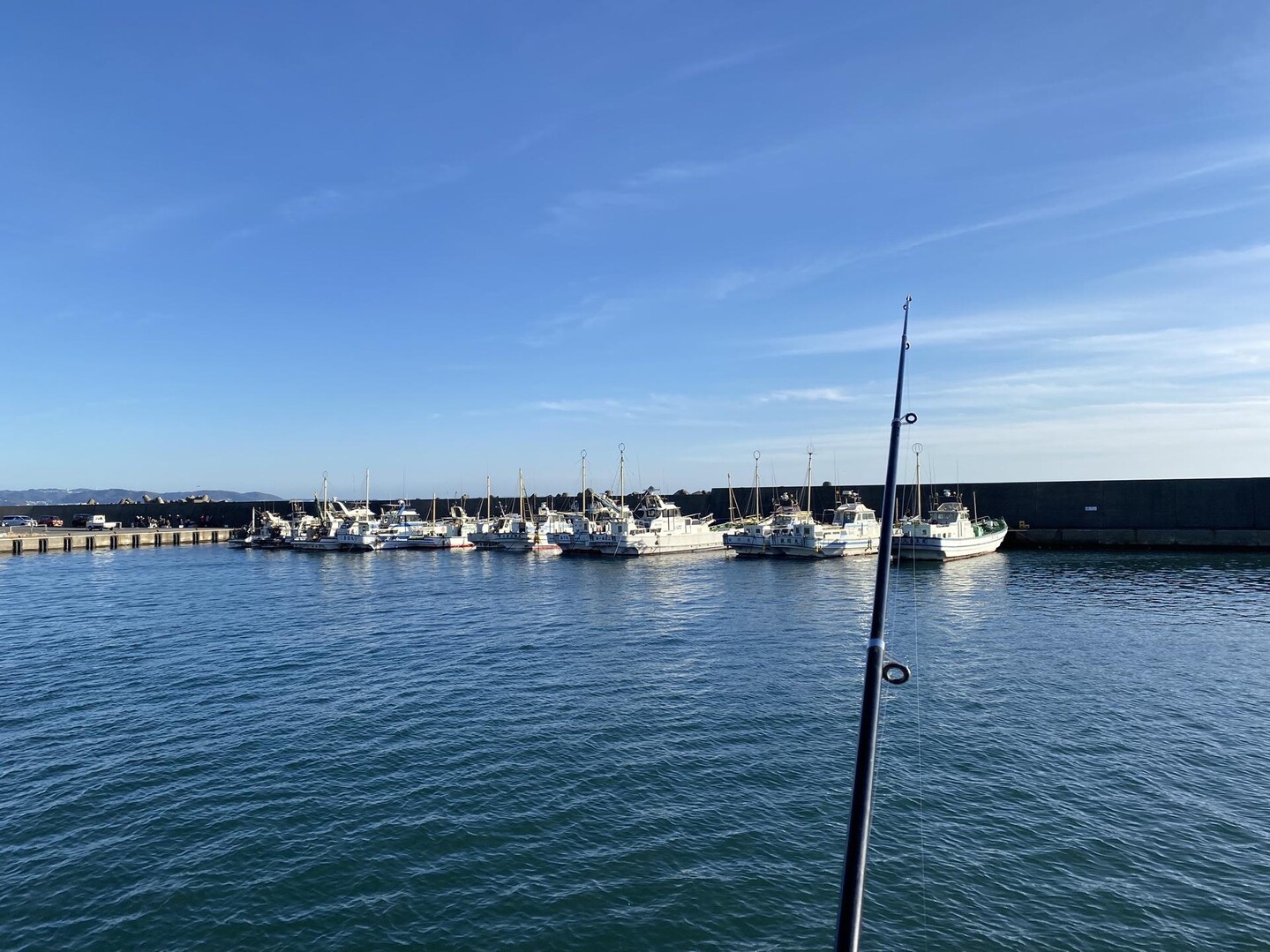 あったかかった週末は鎌倉腰越漁港でKO君... / かっくるさんのモーメント | YAMAP / ヤマップ