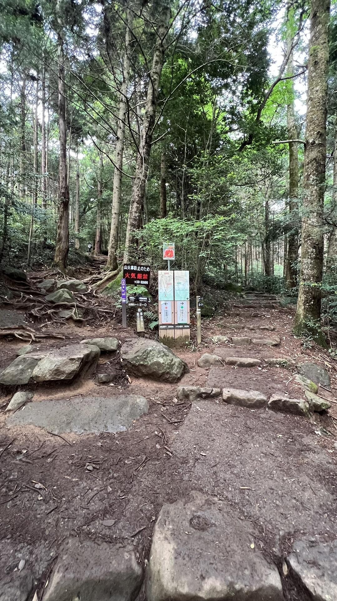 筑波山-2023-05-21 / yuumin222.さんの筑波山の活動データ | YAMAP / ヤマップ