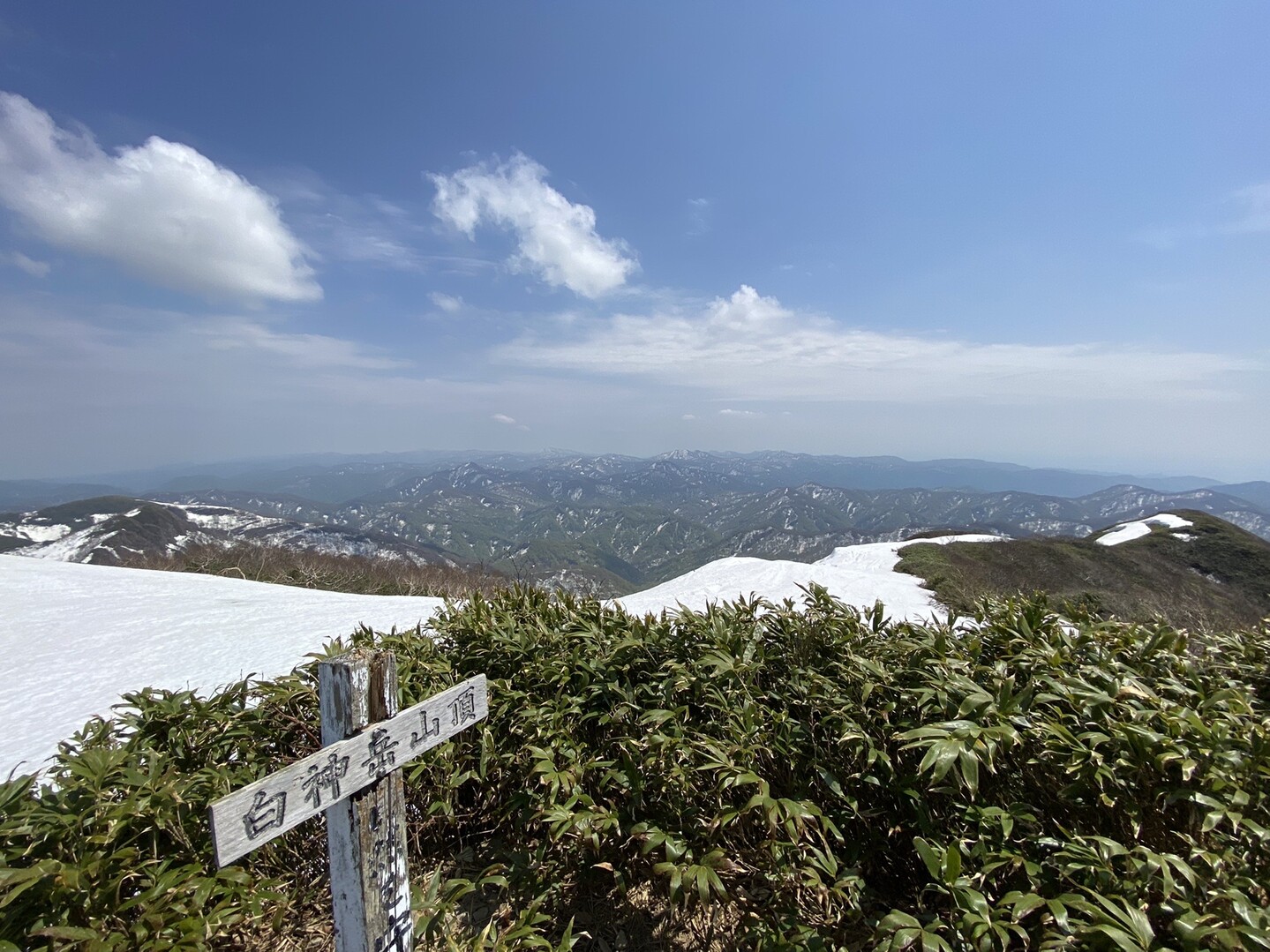 蟶山・白神岳 / taraさんの白神岳・蟶山・大峰岳の活動日記 | YAMAP / ヤマップ