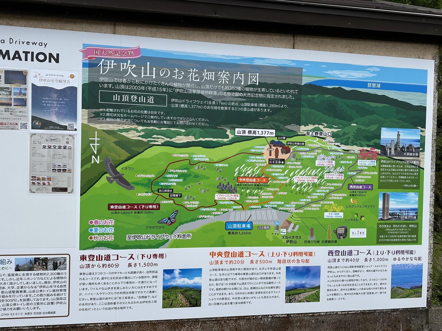 伊吹山 / しんまGさんの伊吹山・伊吹高原・御座峰の活動データ | YAMAP / ヤマップ