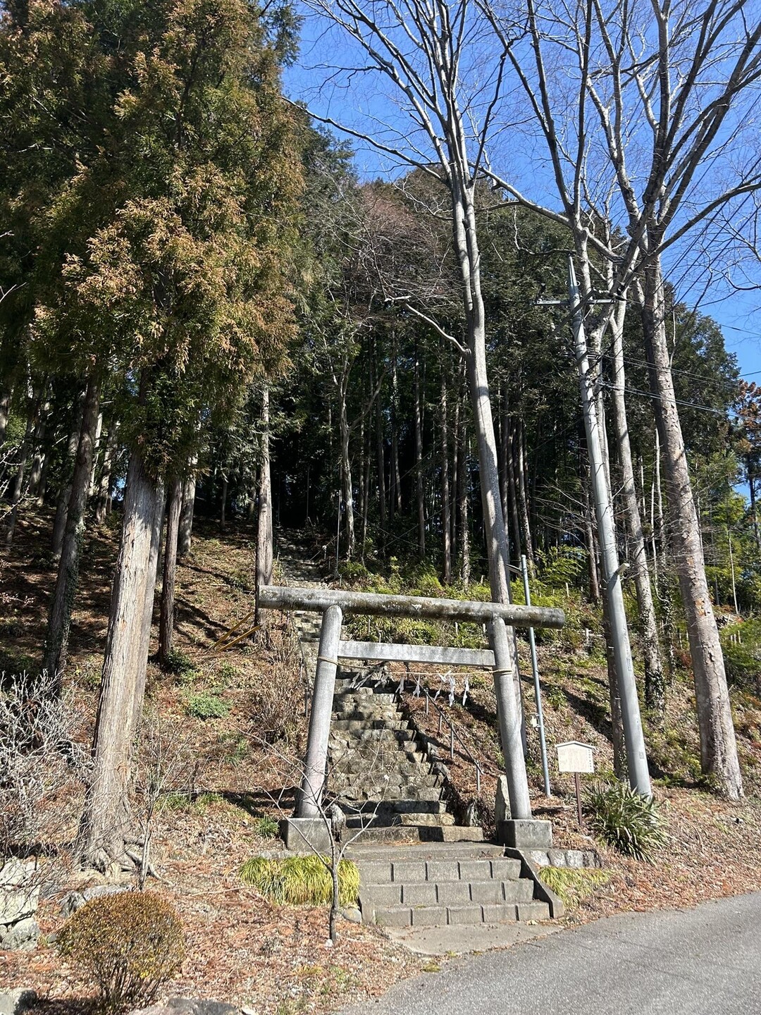 臼入山（細窪山）・天ノ峰・烏森山（虚空蔵山）・不動沢の頭・官ノ倉山 / tea_thank you さんの官ノ倉山の活動データ | YAMAP / ヤマップ