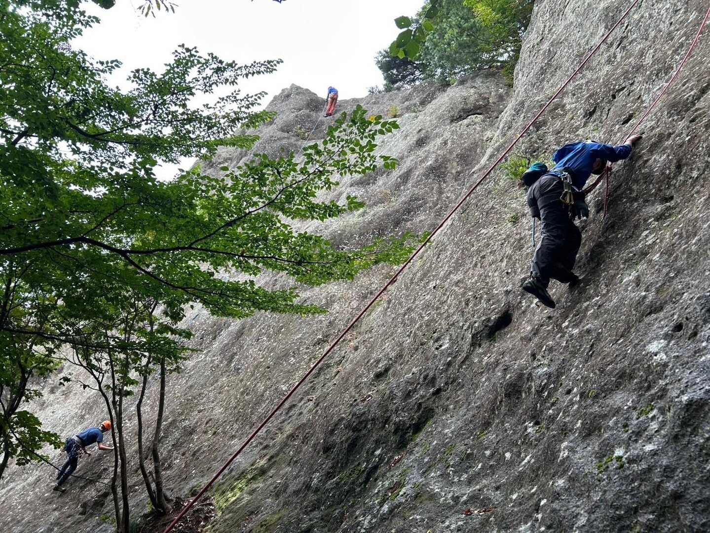 聖ヶ岩 / manaTさんの権太倉山の活動データ | YAMAP / ヤマップ