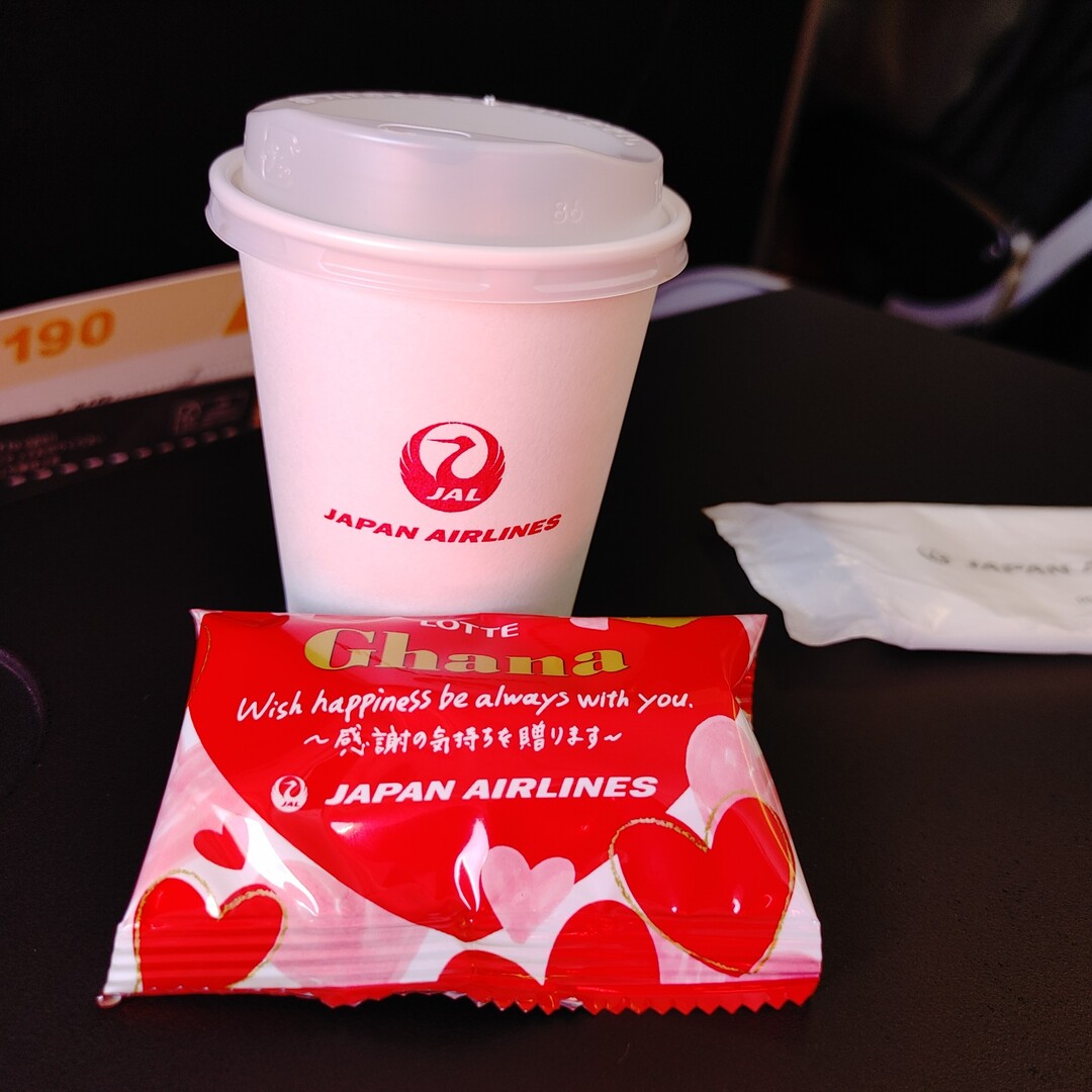 JALからバレンタインデーをもらいました... / kaba87さんのモーメント | YAMAP / ヤマップ