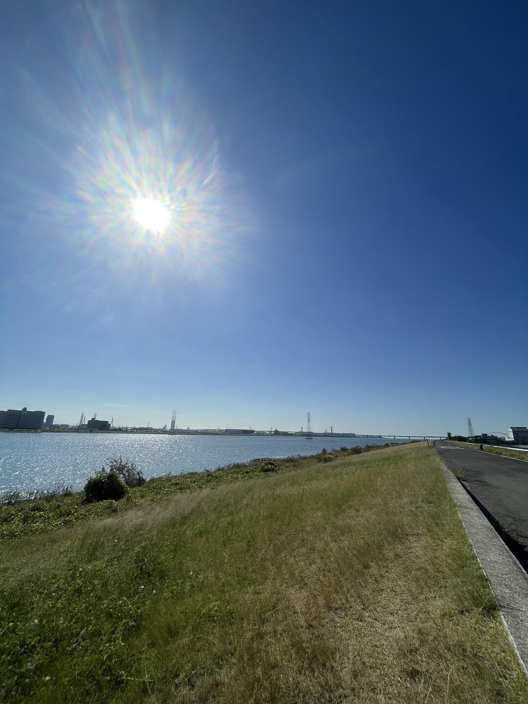 草ヒロ & 金四郎食堂（ママチャリ100km） / dyson_evoさんのサイクリングの活動日記 | YAMAP / ヤマップ