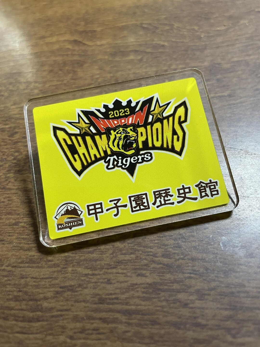 甲子園歴史館でもらえる限定バッジ。 いつ... / かおりんRさんのモーメント | YAMAP / ヤマップ