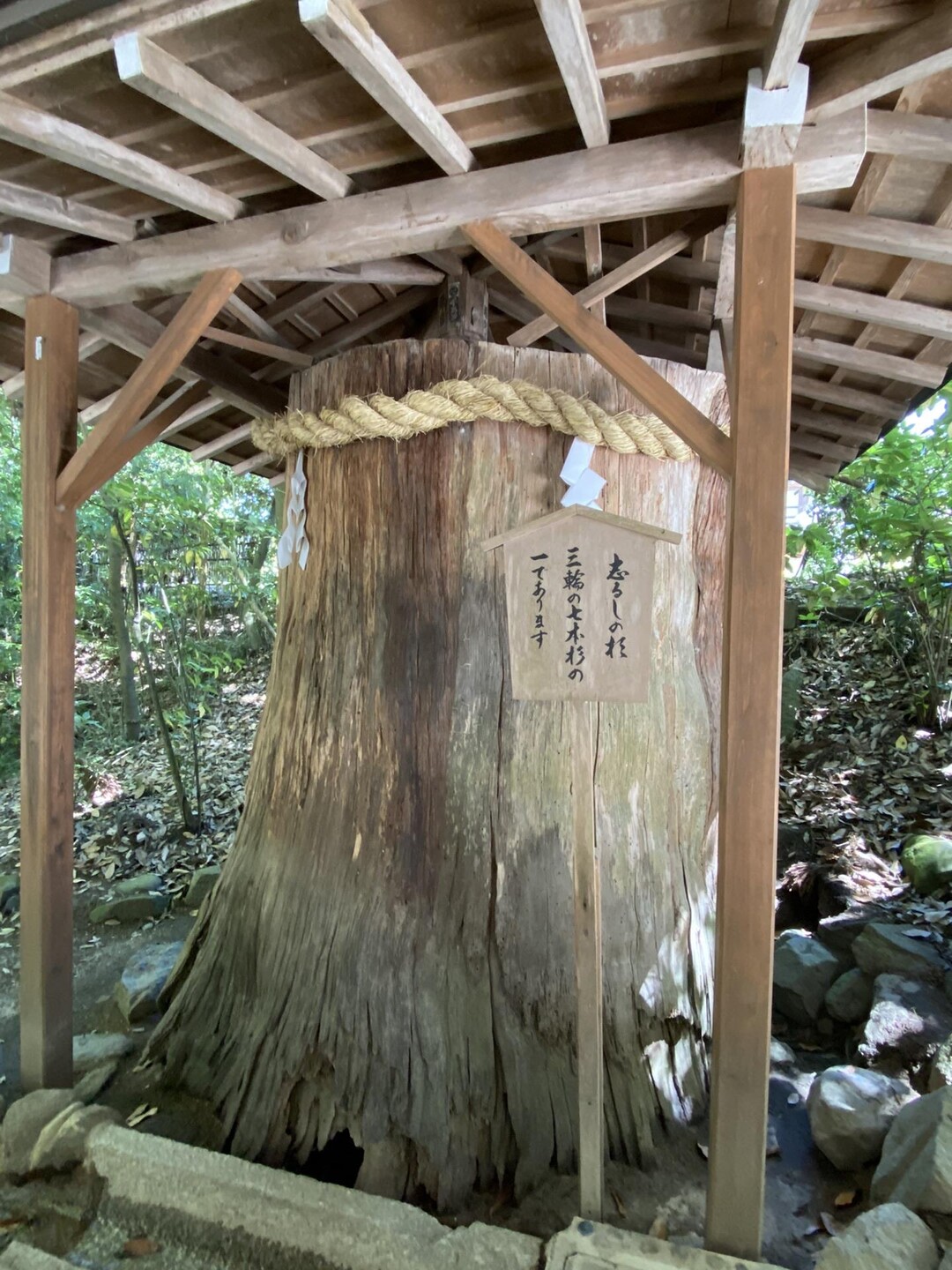 三輪山 / hakuさんの三輪山・巻向山・龍王山の活動データ | YAMAP / ヤマップ