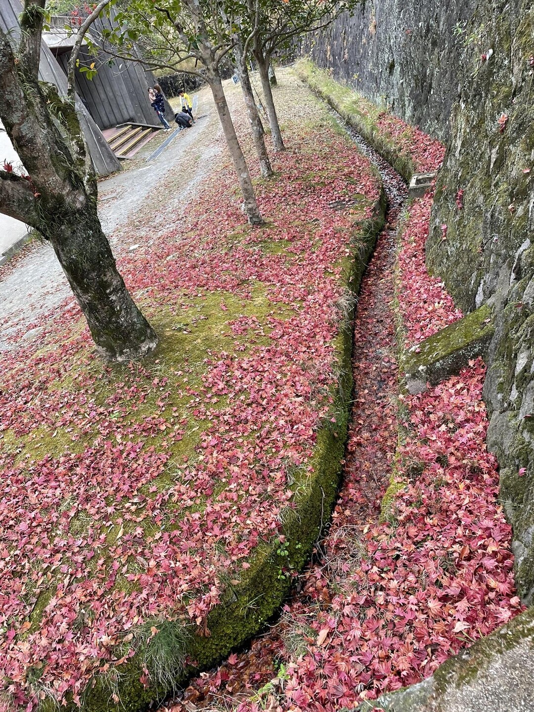 デイキャンプ2日間⛺️ ①今宿野外センタ... / ぽん酢さんのモーメント | YAMAP / ヤマップ