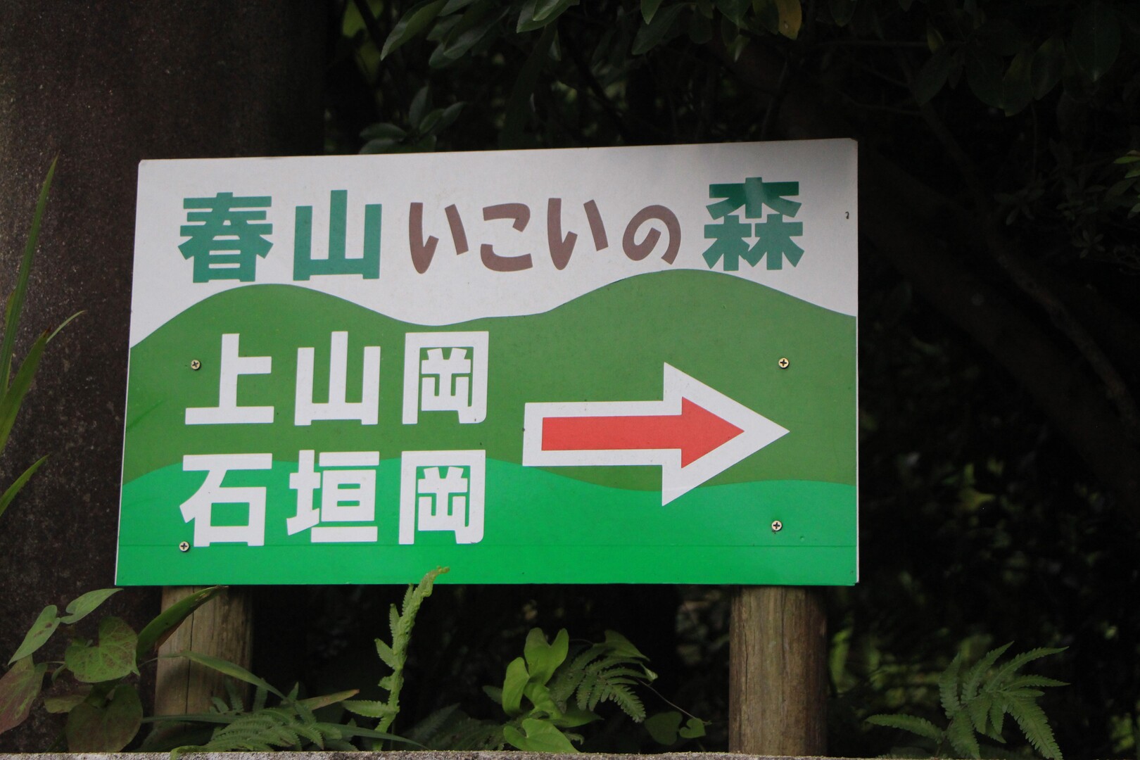 ウォーキング 上山岡 / MANさんの鹿児島市の活動データ | YAMAP / ヤマップ