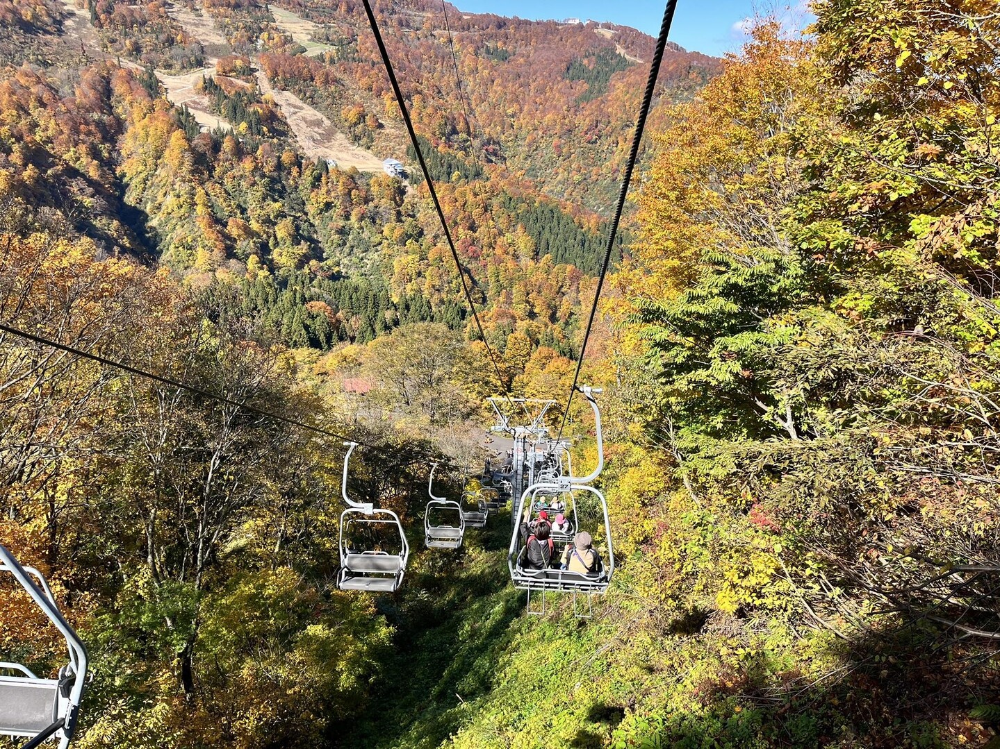 越後湯沢 アルプの里 紅葉が🍁見ごろで... / ちーちゃんさんのモーメント | YAMAP / ヤマップ