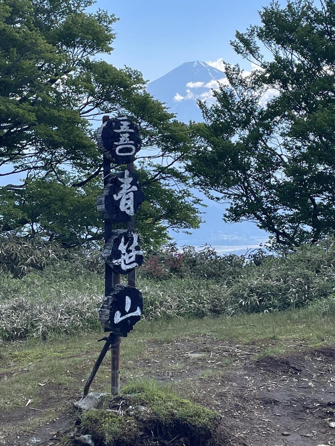 青笹山 / tatariiさんの青笹山の活動データ | YAMAP / ヤマップ